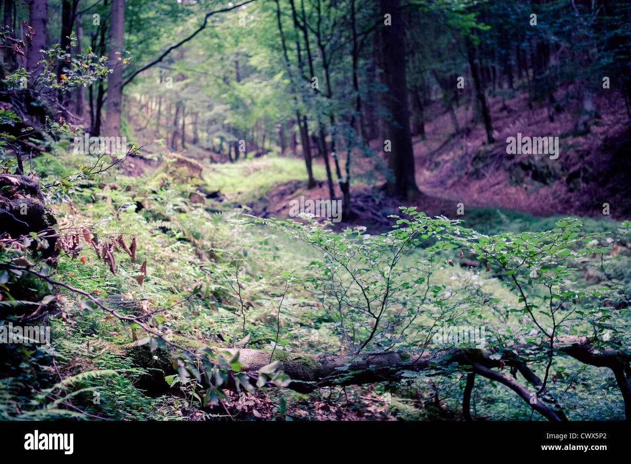 Schiefergebirge hi-res stock photography and images - Alamy