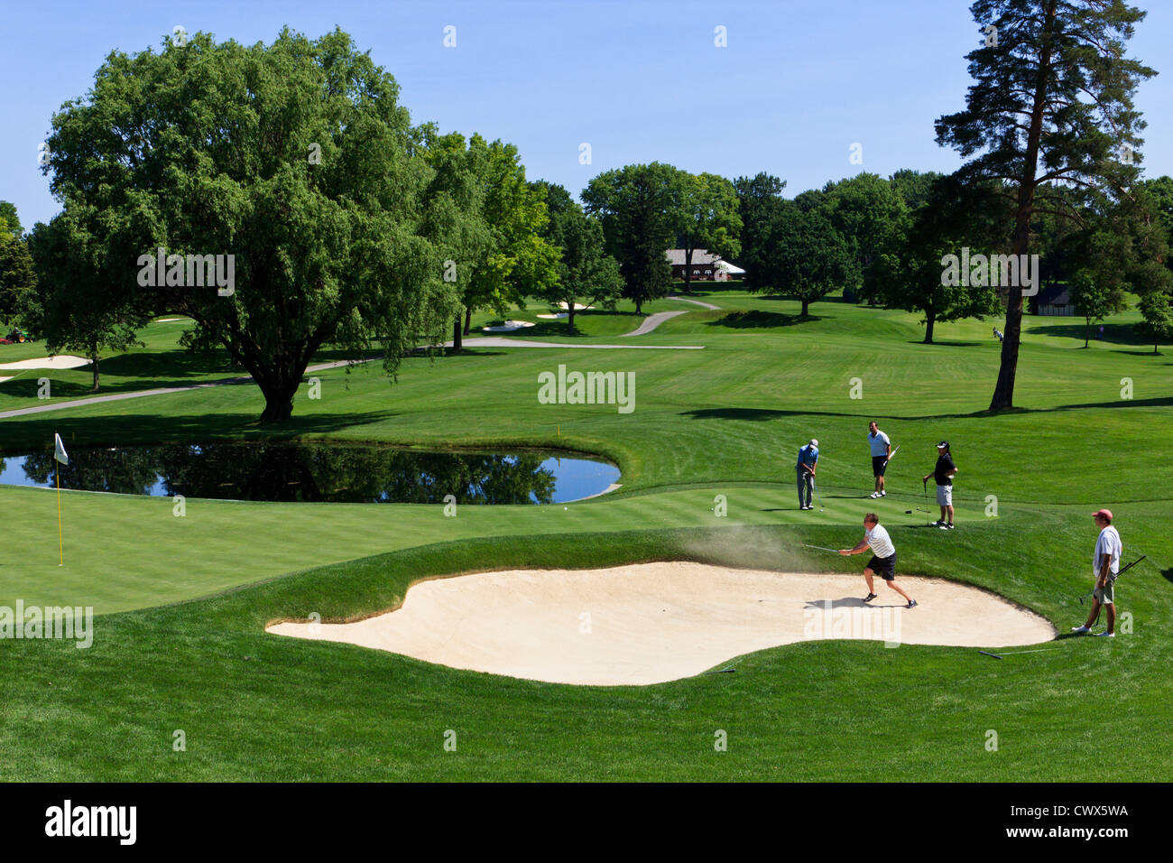 Tree in beautiful golf hi-res stock photography and images - Alamy