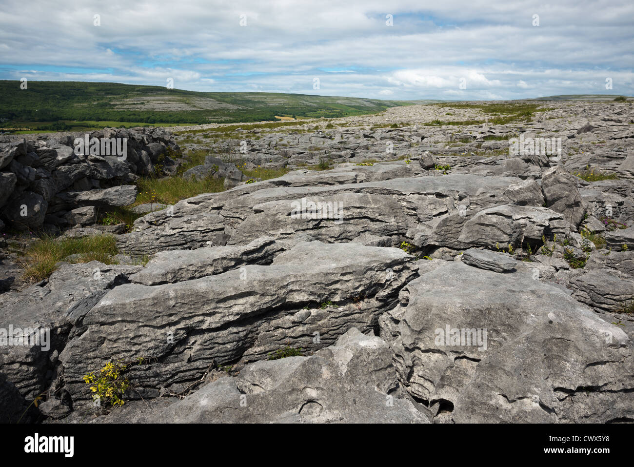 Grikes hi-res stock photography and images - Alamy