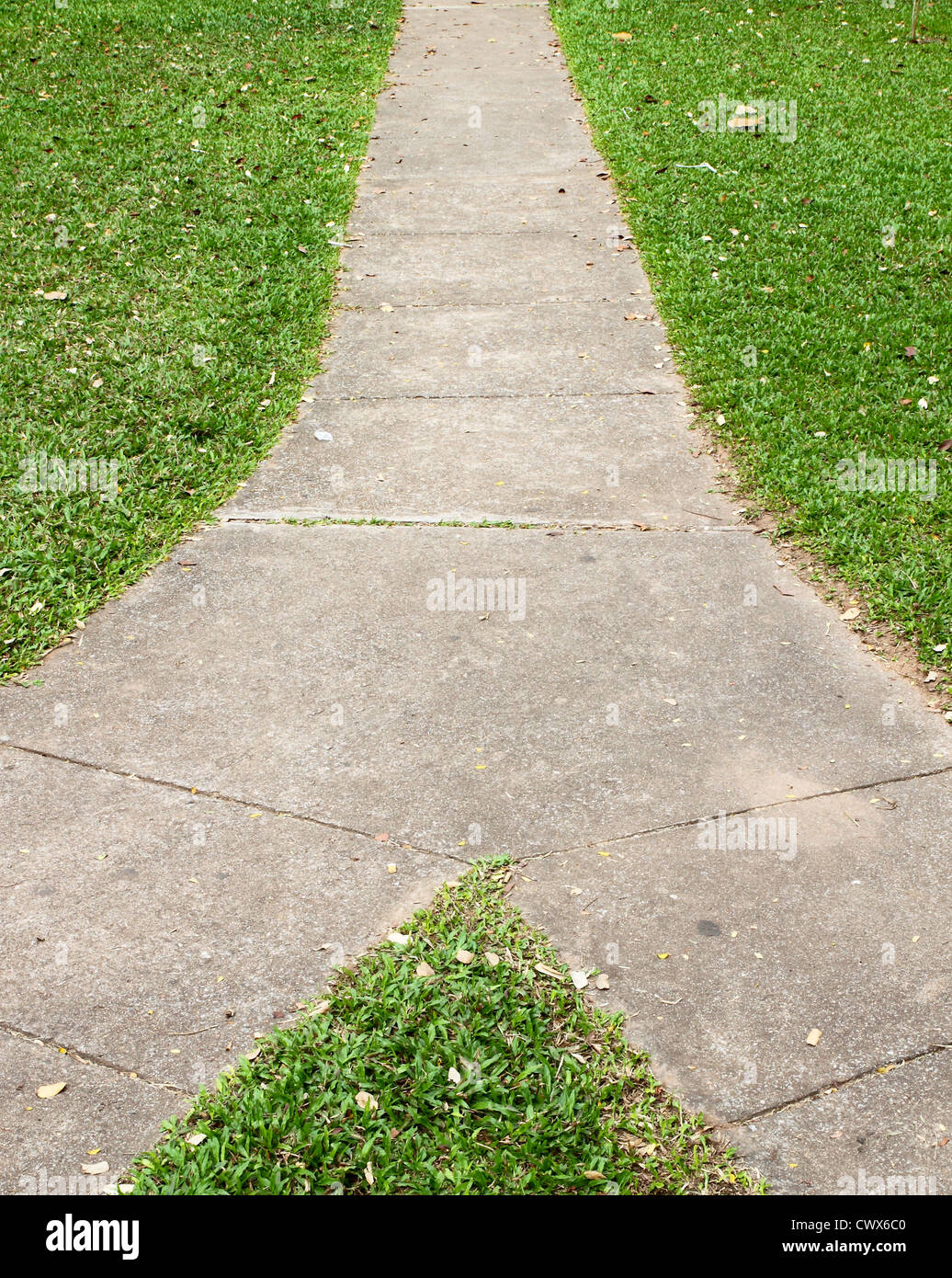Fork in the pathway with grass Stock Photo - Alamy