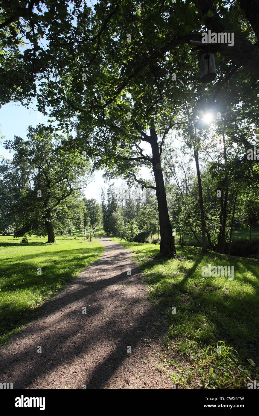 sun footpath in the park, summer day Stock Photo - Alamy