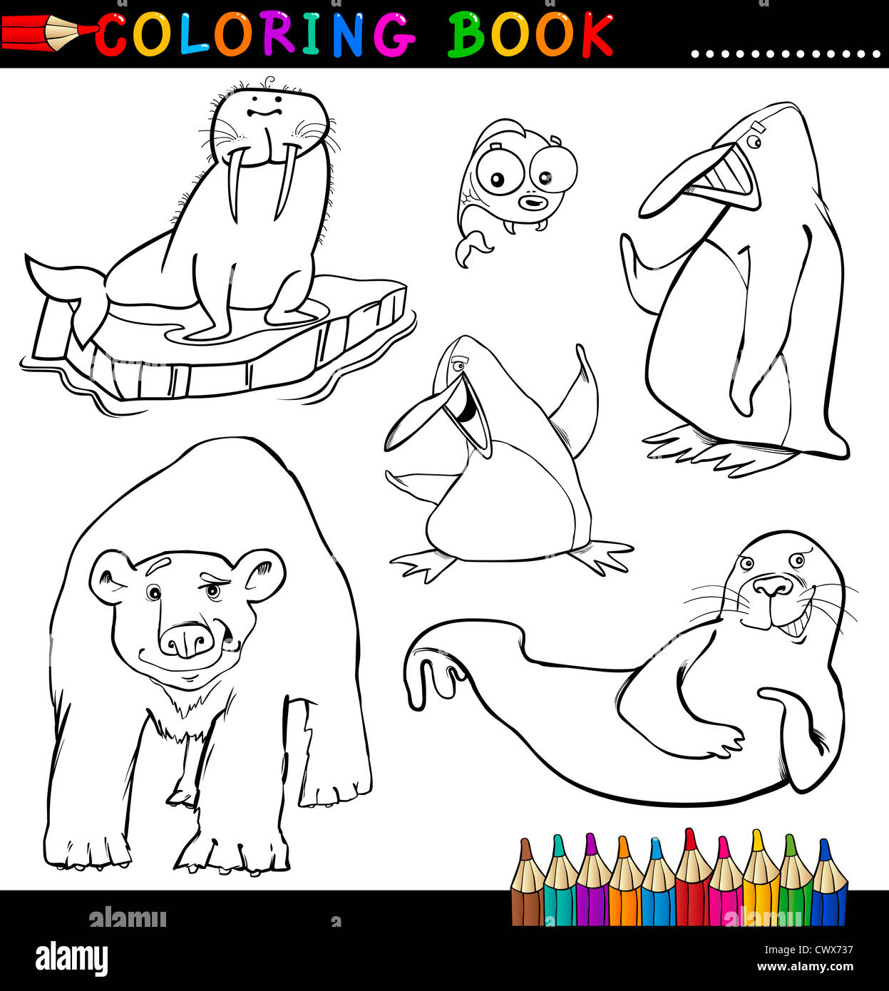 Coloring Book or Page Cartoon Illustration of Funny Marine and Polar ...