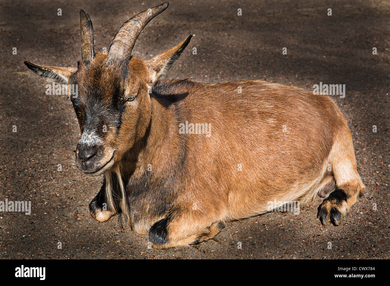 Calm feel hi-res stock photography and images - Alamy