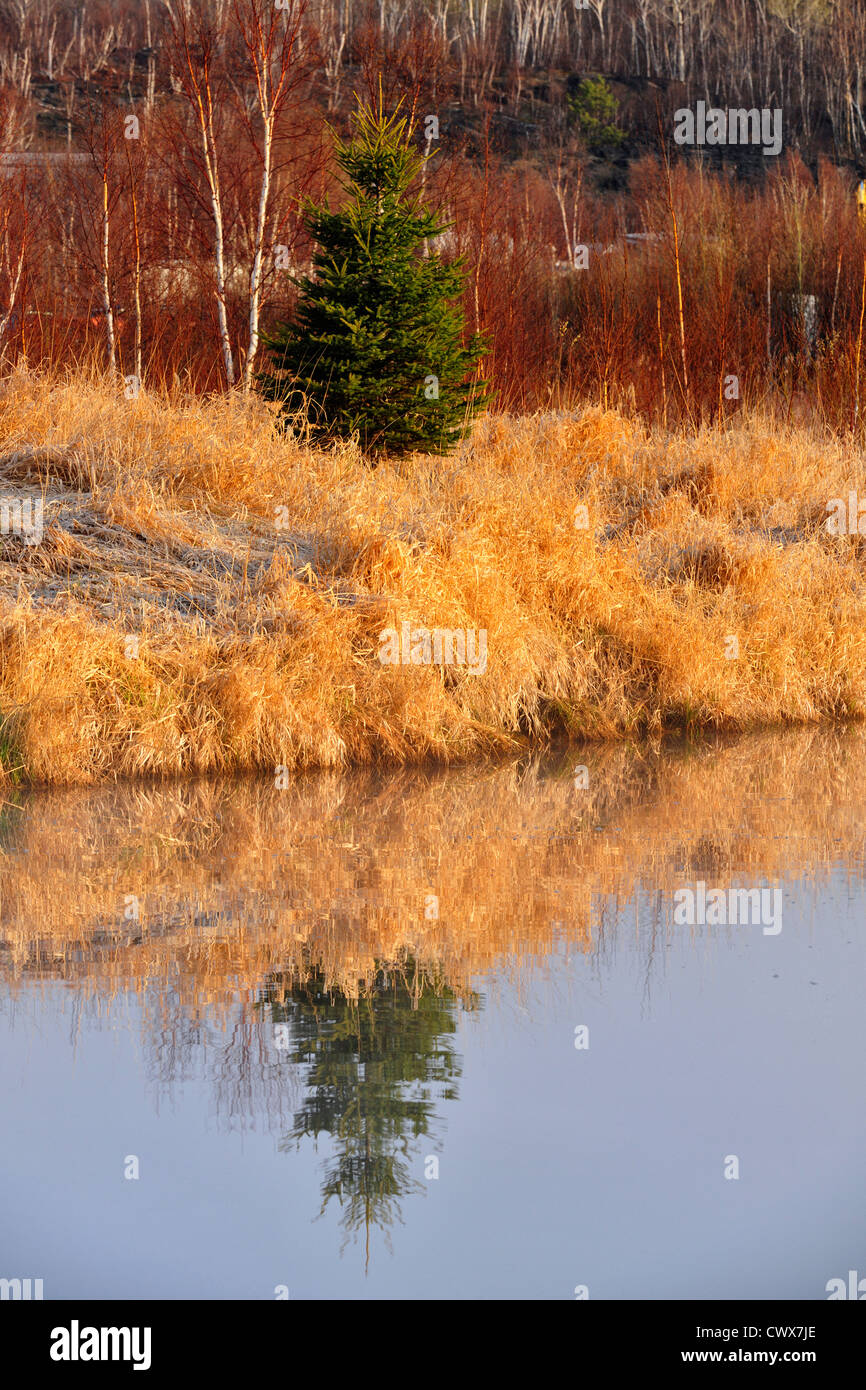 Kelly creek hi-res stock photography and images - Alamy