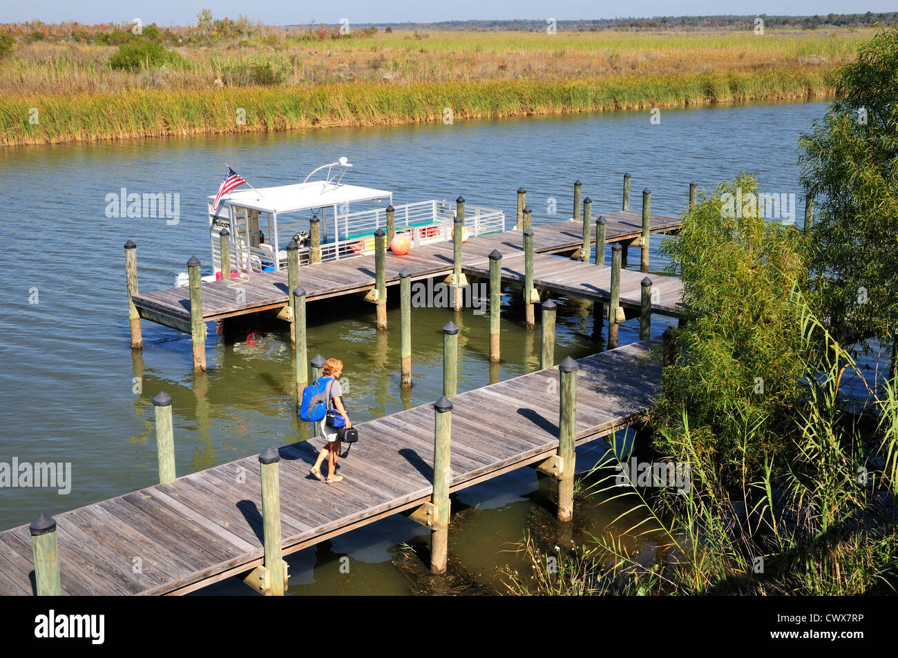 Tour boat "Pelican" at the dock behind the 5 Rivers Delta Resource ...