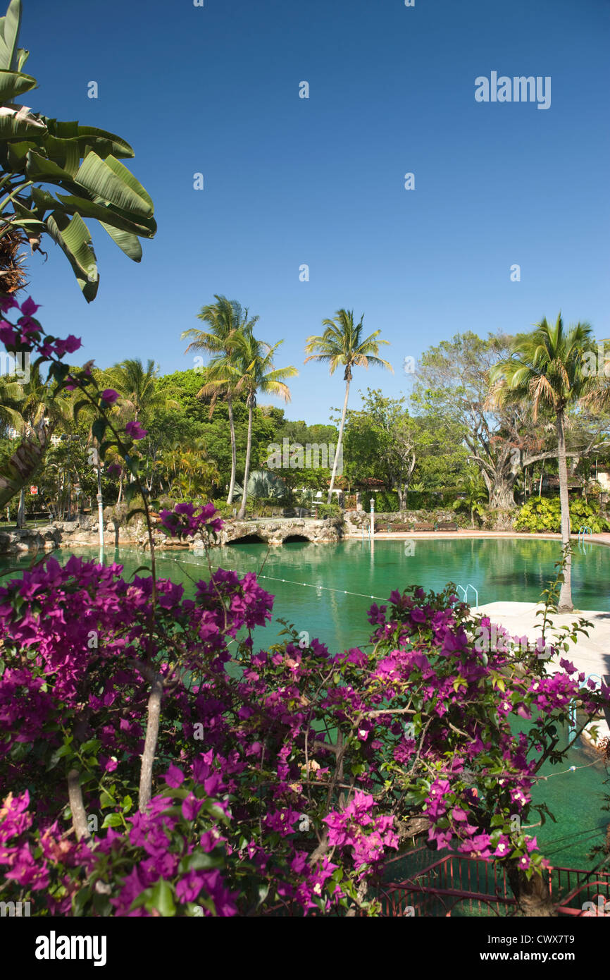 Coral gables miami venetian pool hi-res stock photography and images ...