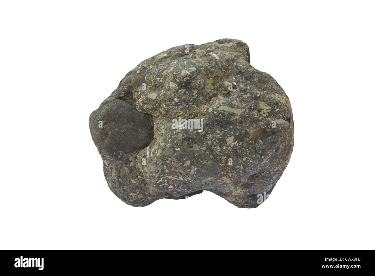 Lithified hi-res stock photography and images - Alamy