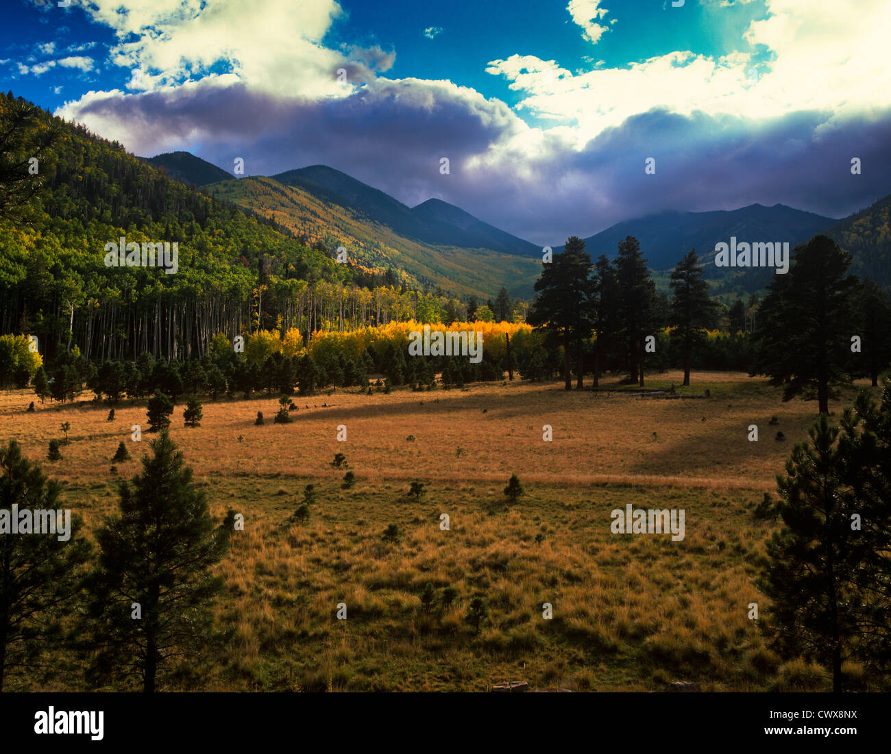 Flagstaff in fall hi-res stock photography and images - Alamy