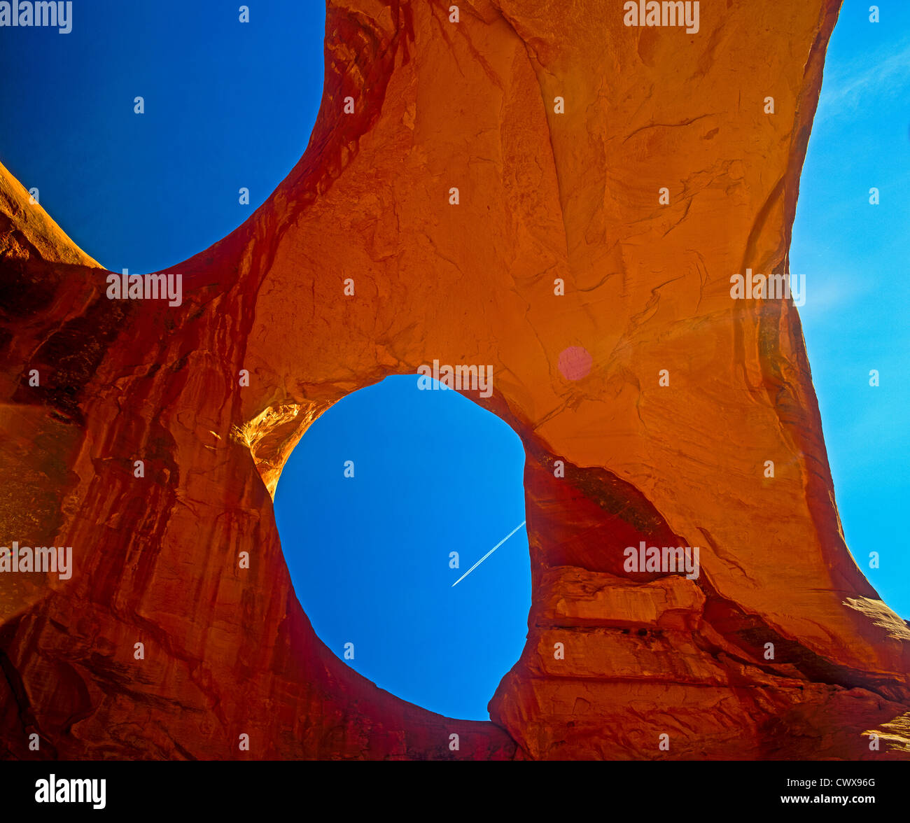 Spider web arch hi-res stock photography and images - Alamy