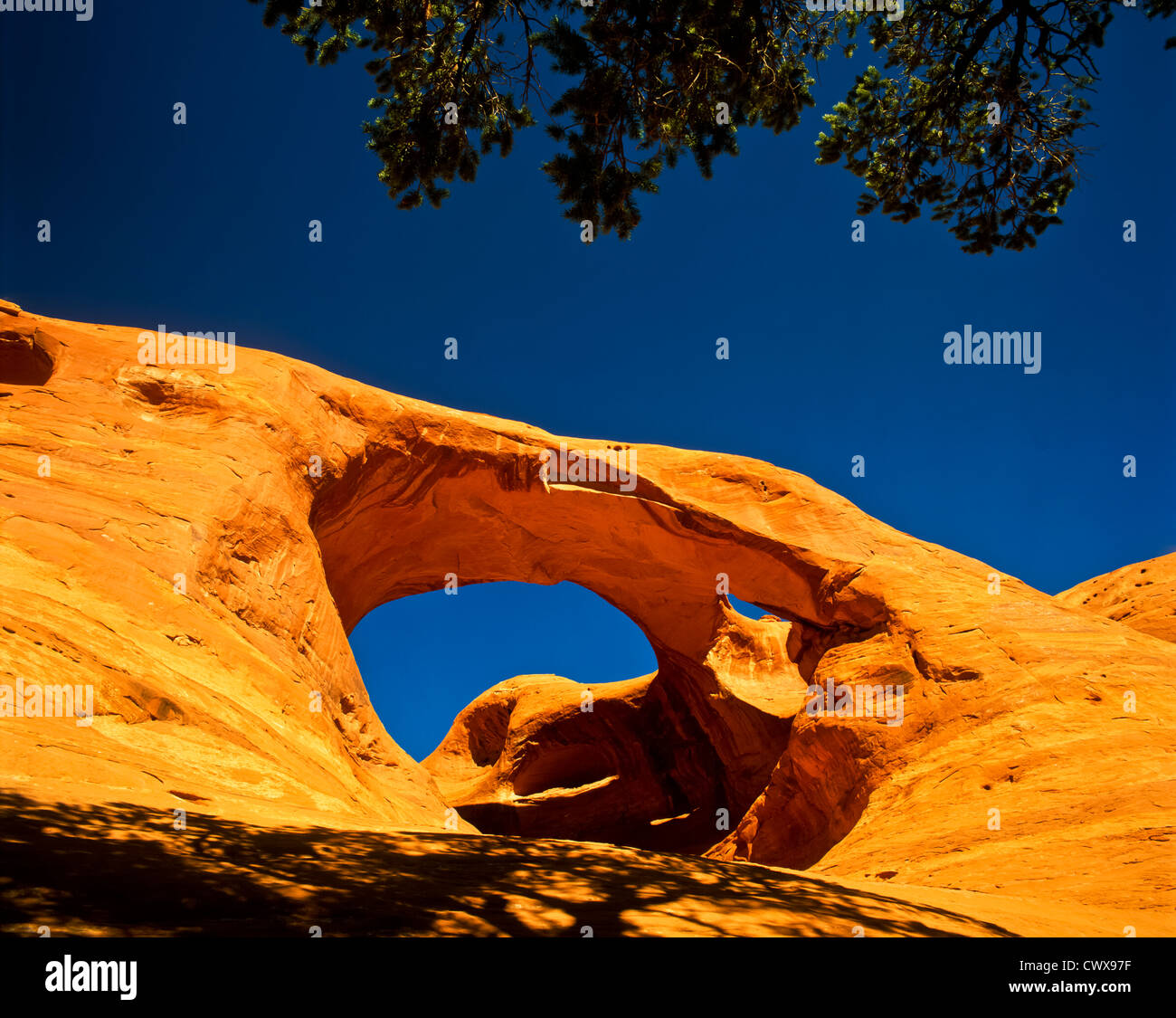 Spider web arch hi-res stock photography and images - Alamy