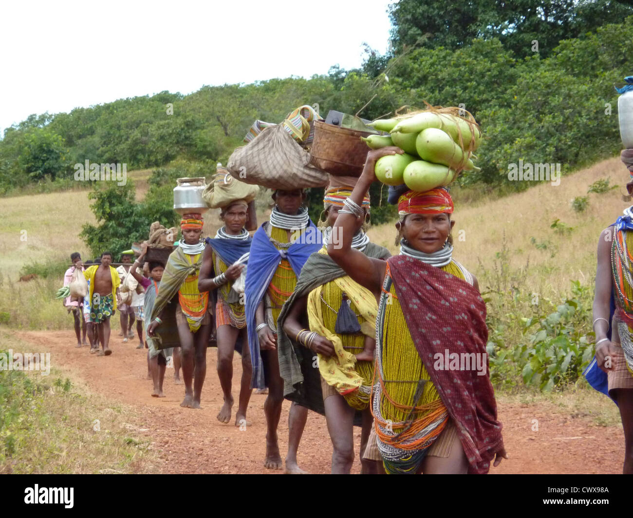 ORISSA, INDIA - Nov 12 - Tribal women carry goods on their heads on Nov ...