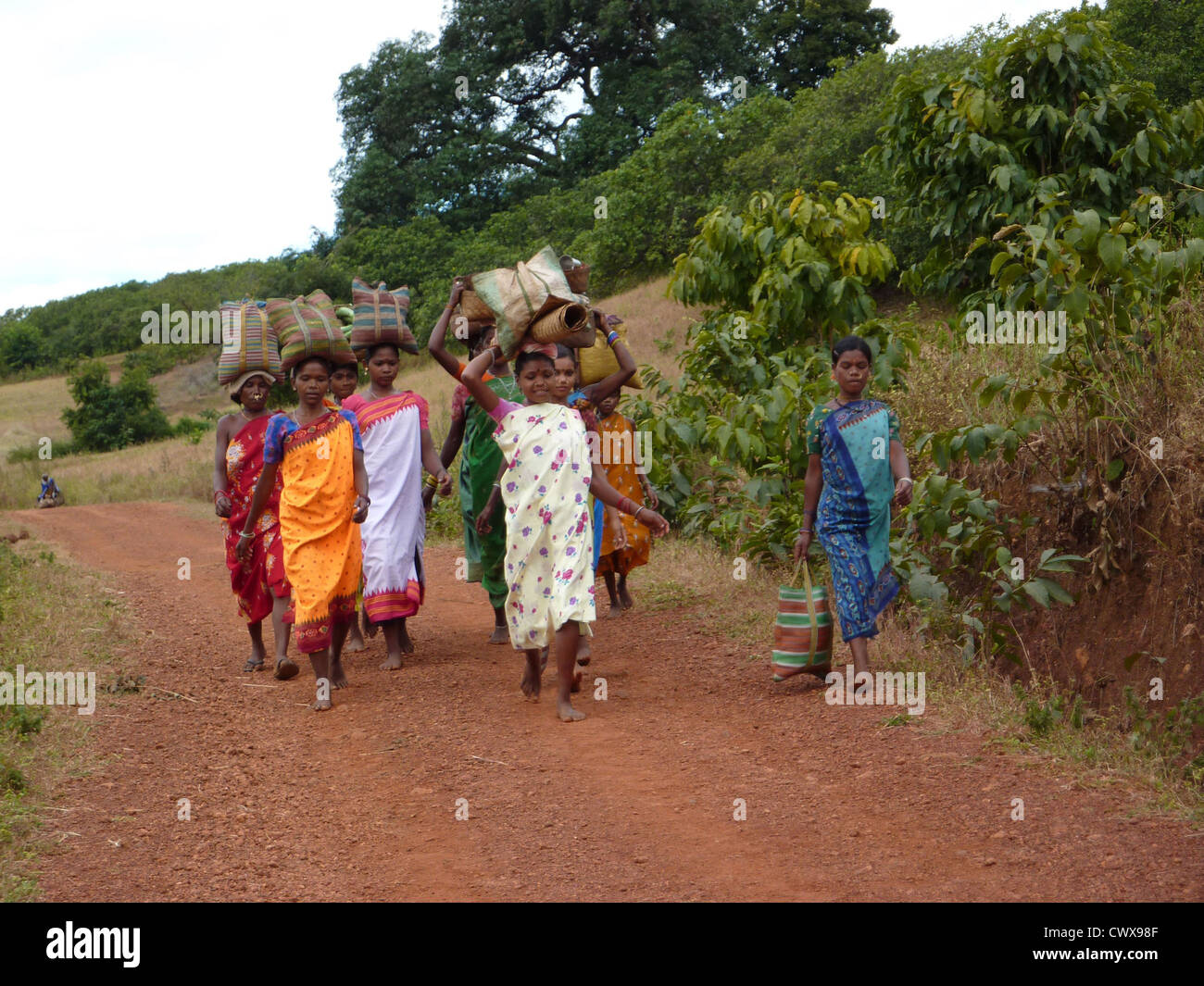 ORISSA, INDIA - Nov 12 - Tribal women carry goods on their heads on Nov ...