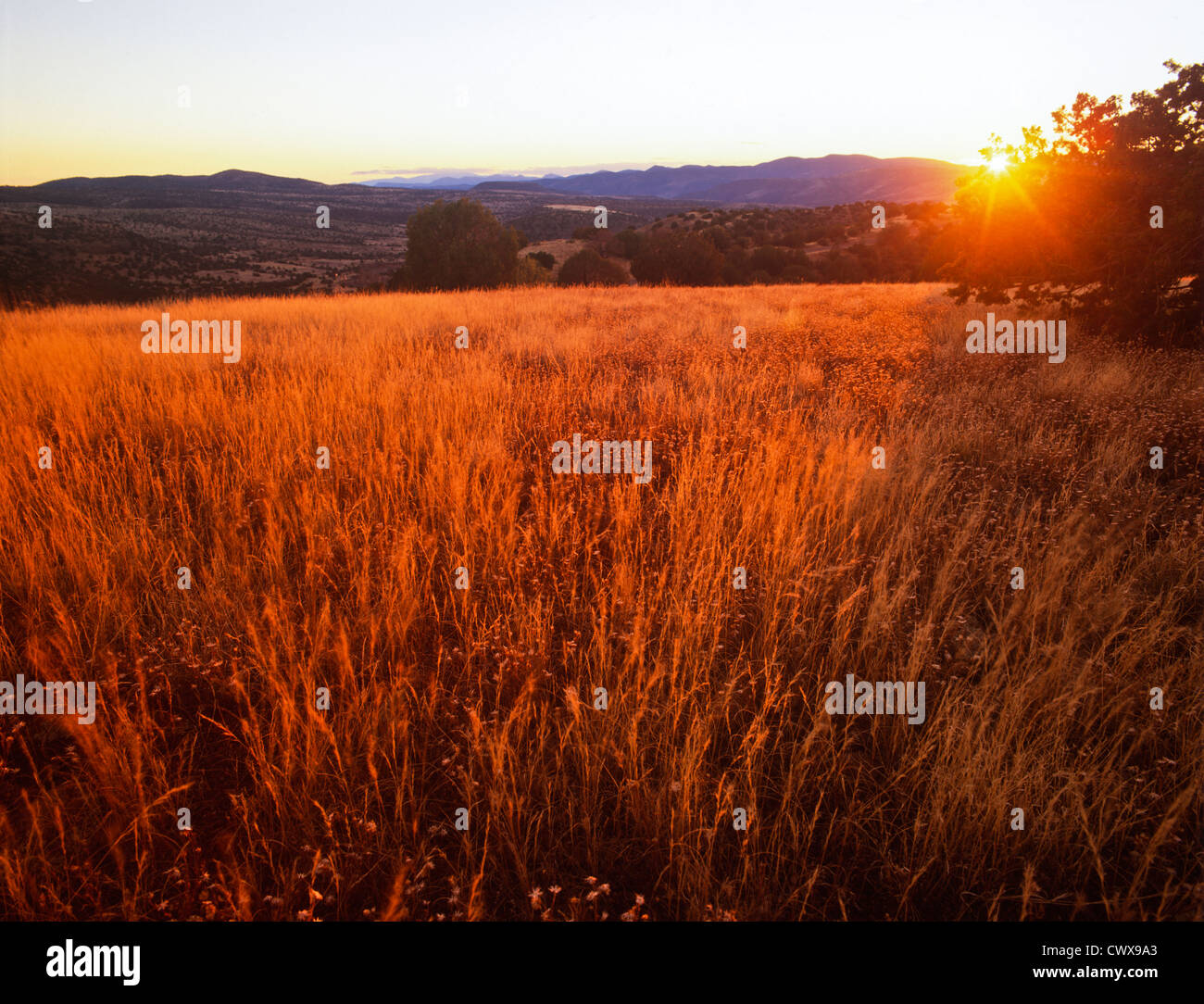 Another days end in the foothills of Upper Eagle Creek area, Apache ...