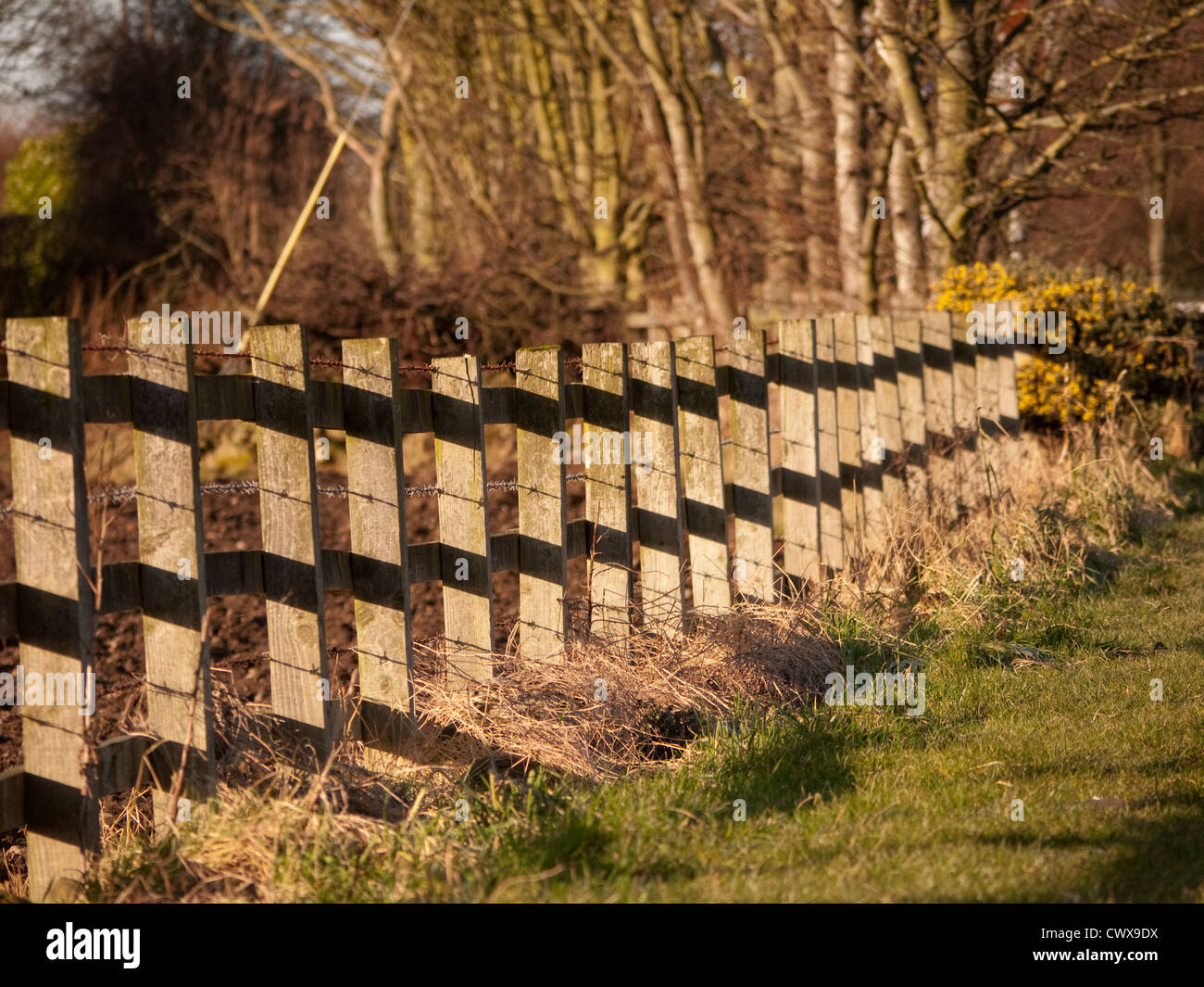 Sun on a fence hi-res stock photography and images - Alamy