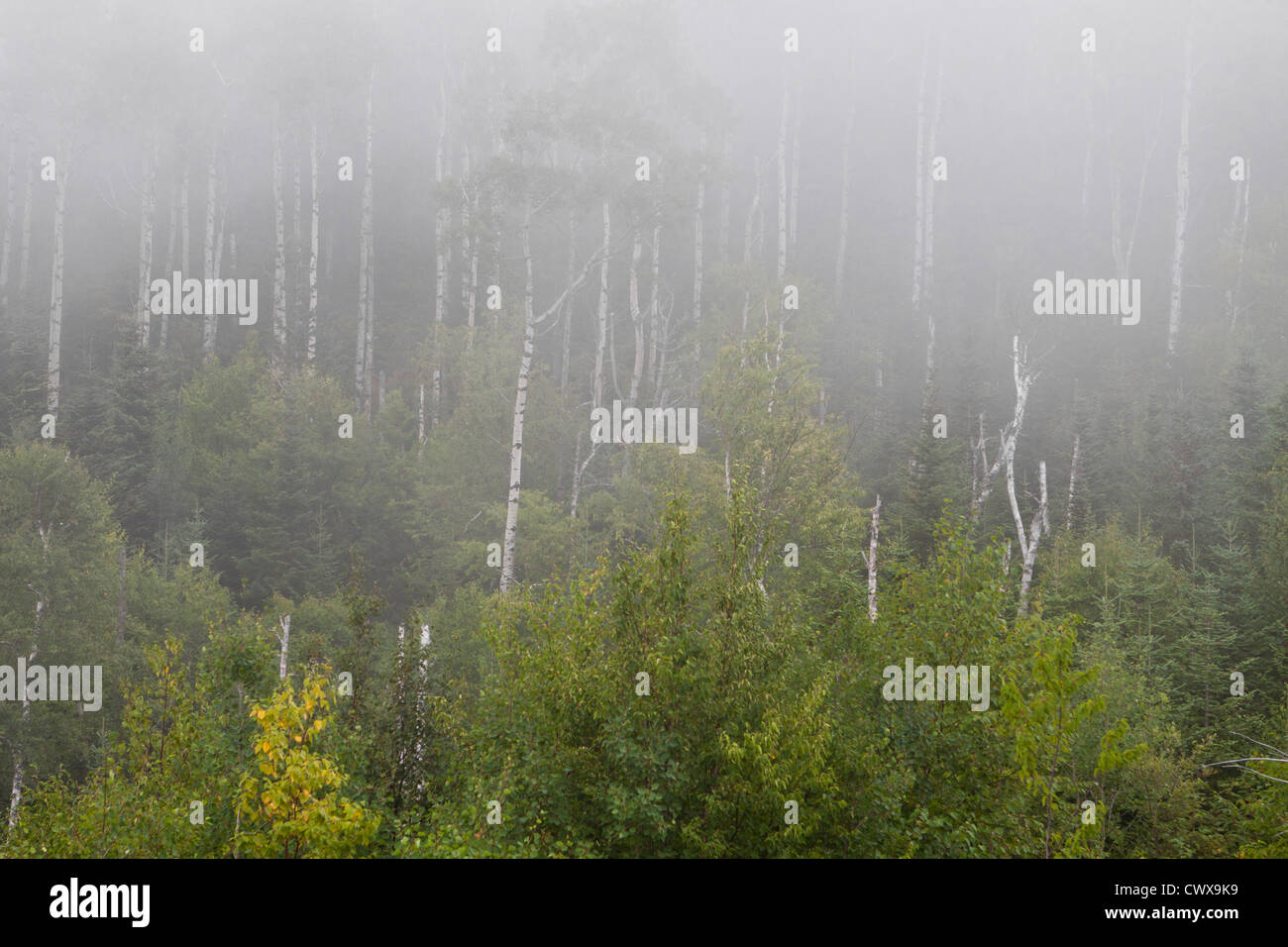 Quebec landscape hi-res stock photography and images - Alamy