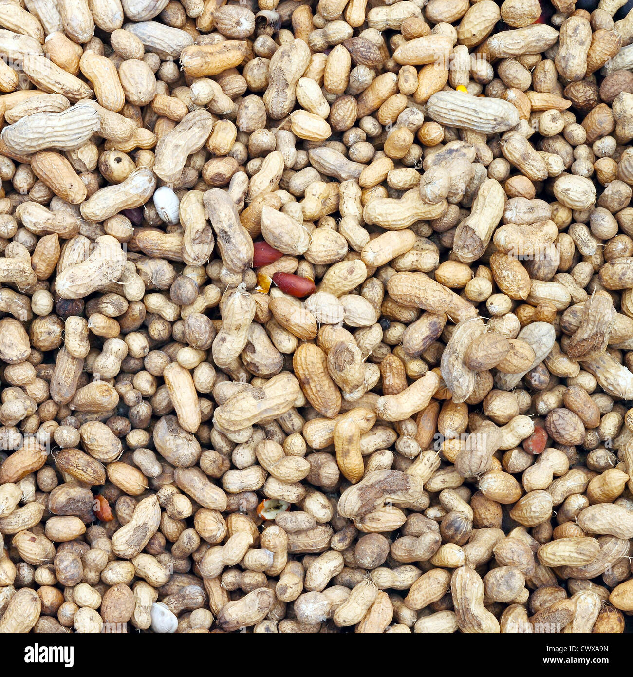Peanut texture hi-res stock photography and images - Alamy