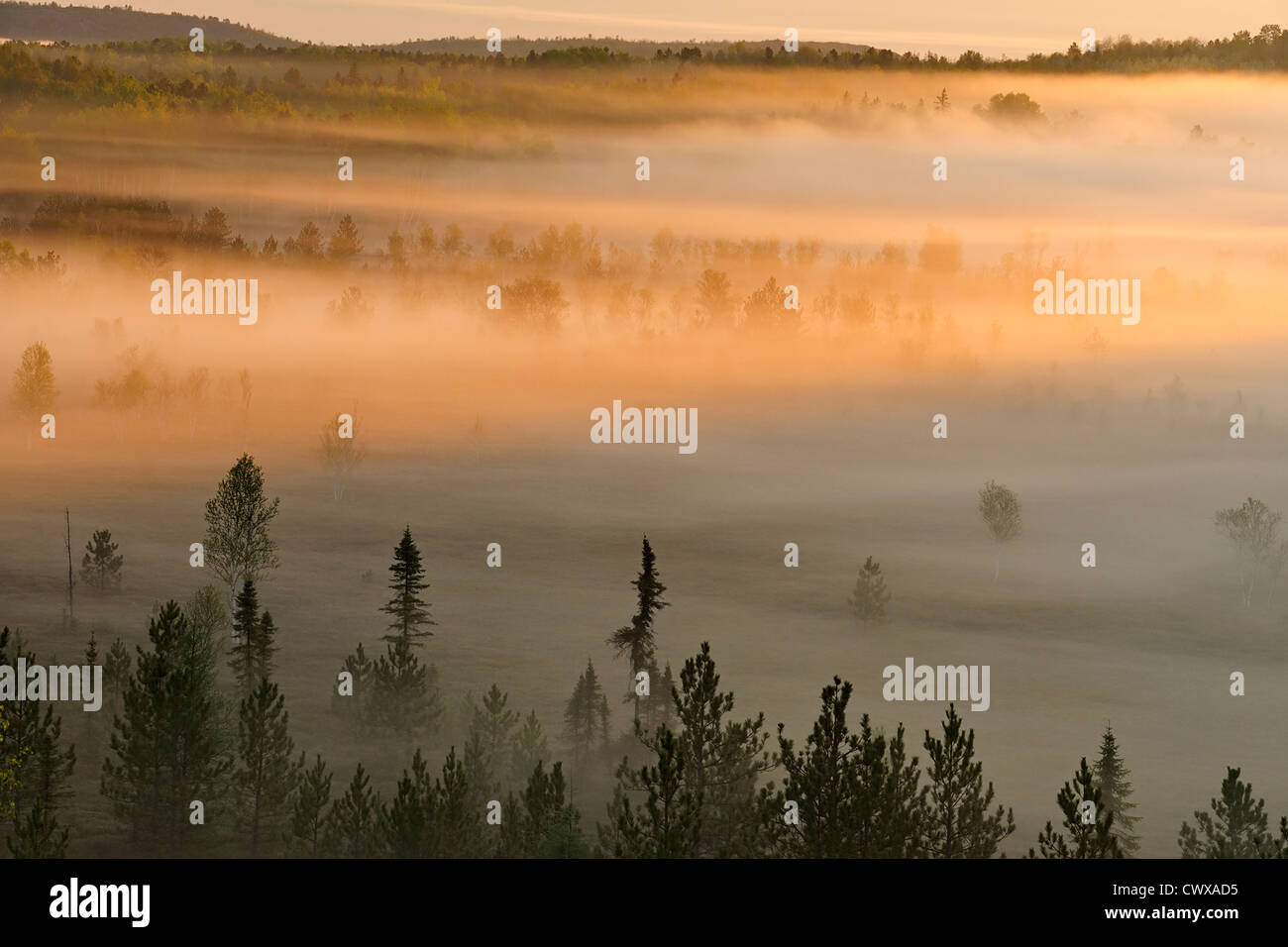Beautiful misty dawn in spring hi-res stock photography and images - Alamy