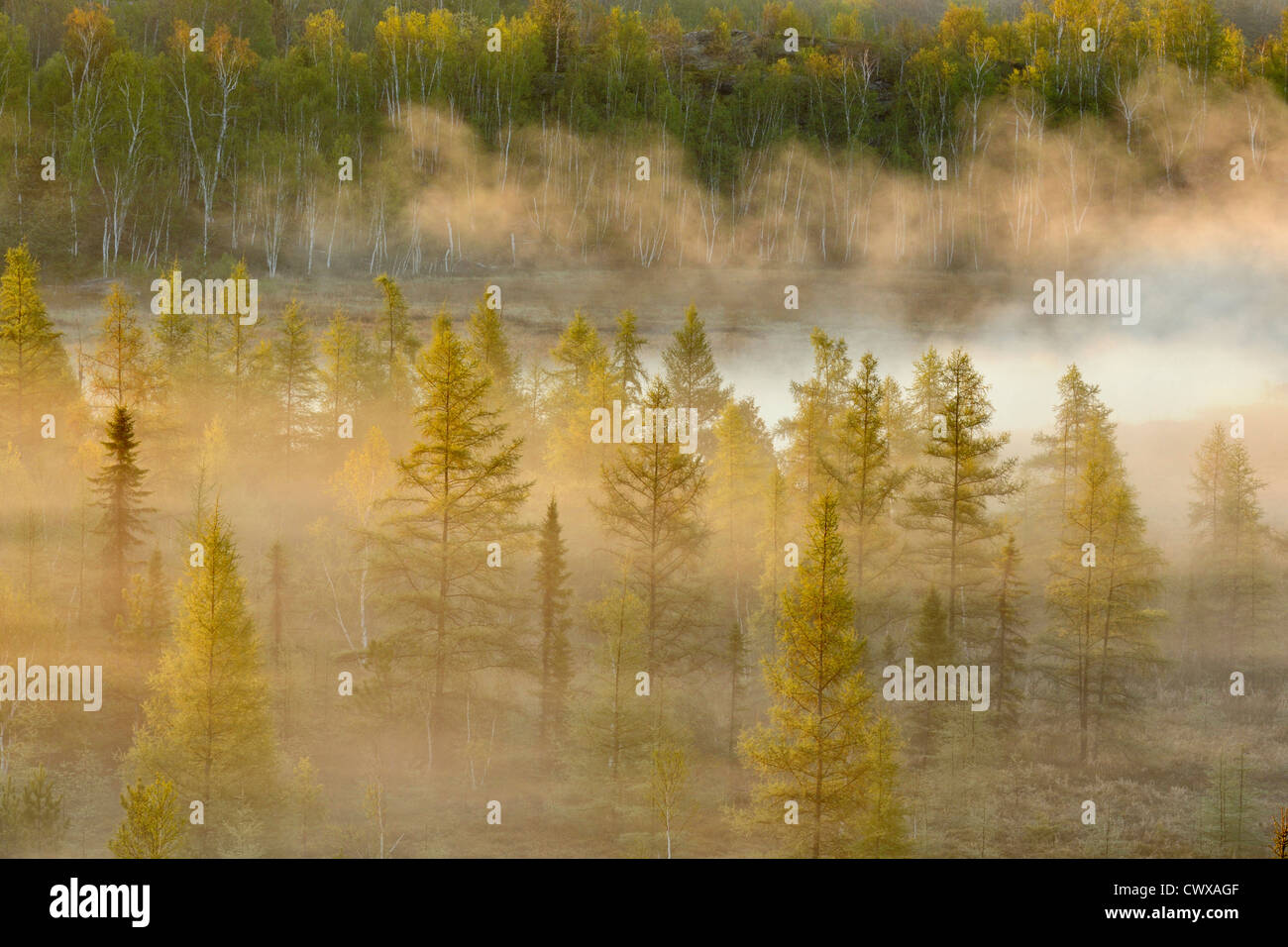 Beautiful misty dawn in spring hi-res stock photography and images - Alamy