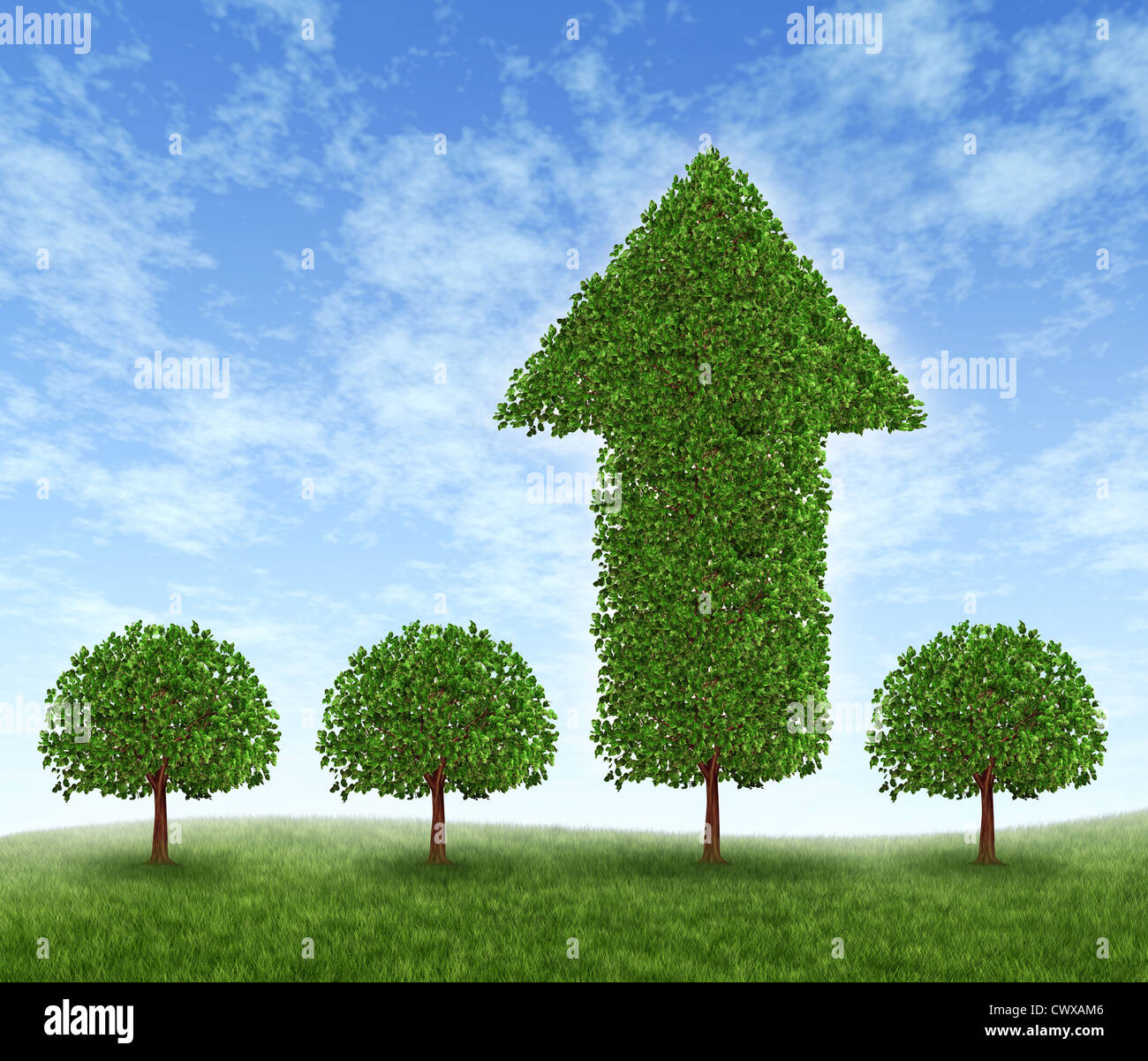 Best investment choice and financial advice for picking the right ...