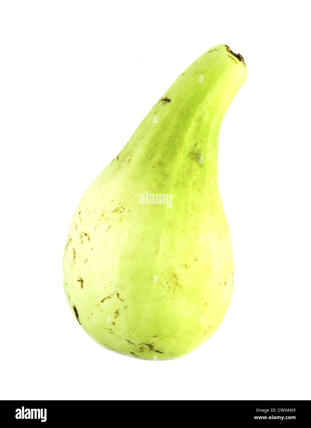 Green calabash on white background Stock Photo - Alamy