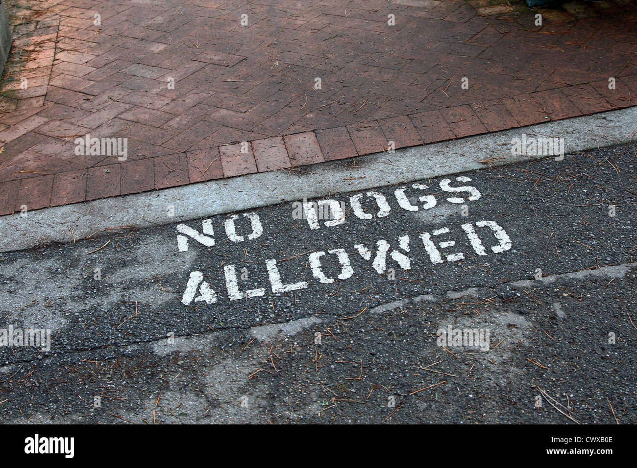 No Dogs Allowed Stock Photo - Alamy