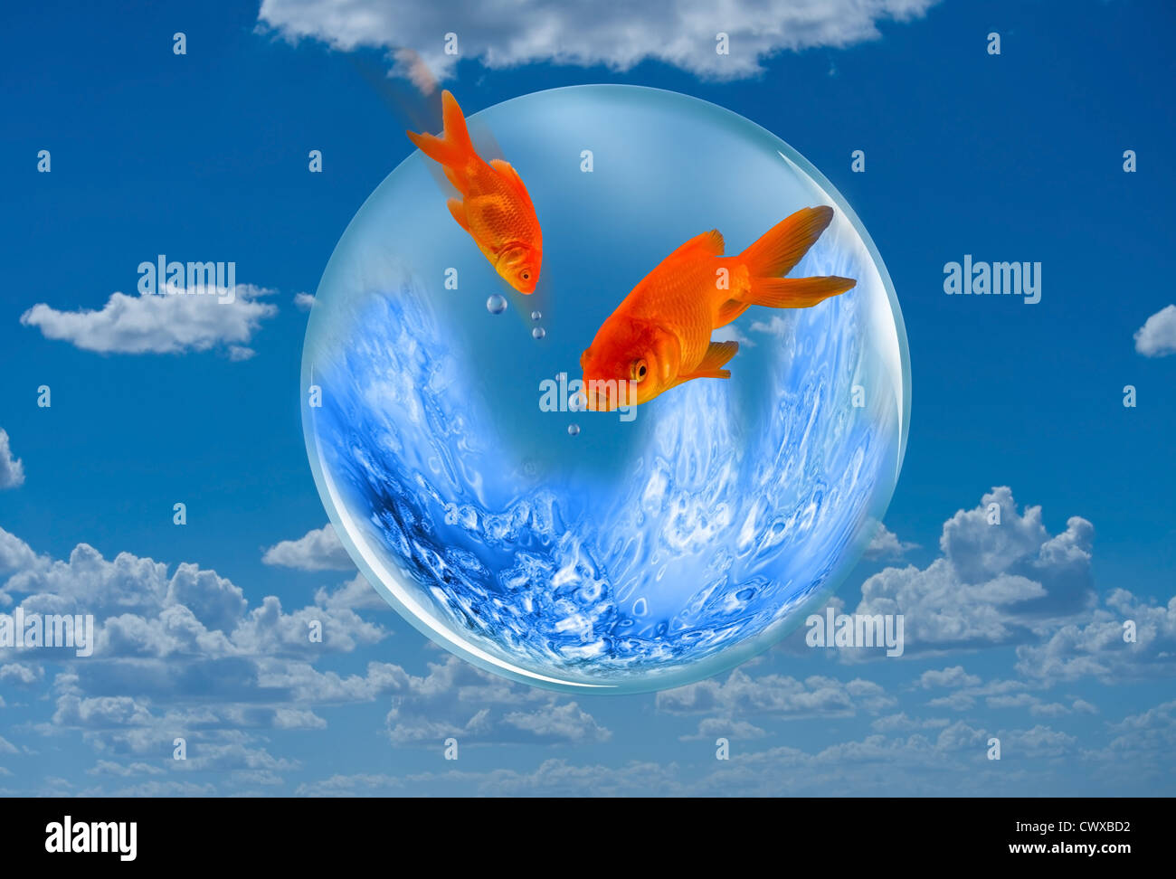 Goldfish in the Sky Stock Photo - Alamy