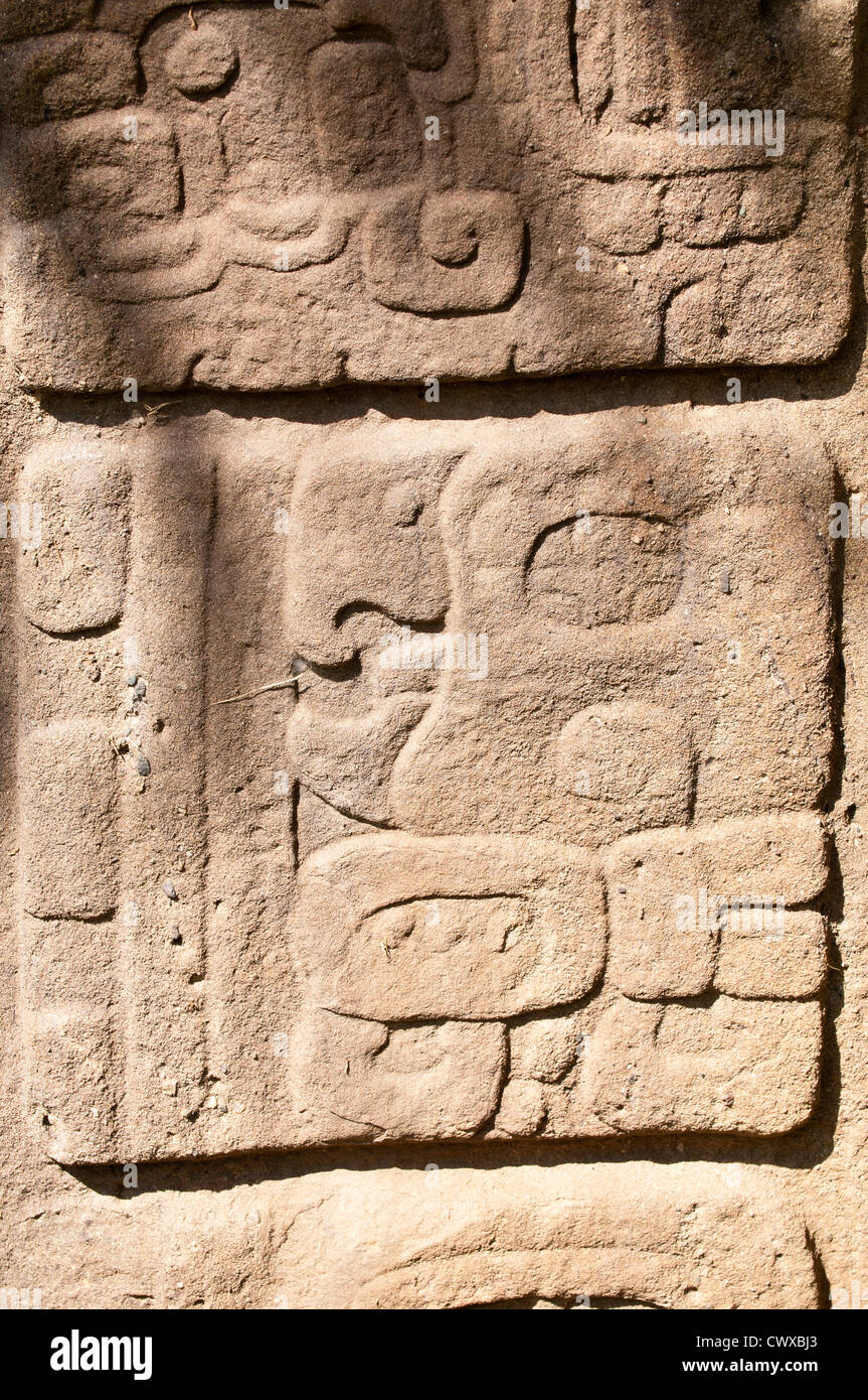 Stelae stela petroglyph tablet in Quirigua Archaeological Park, UNESCO ...