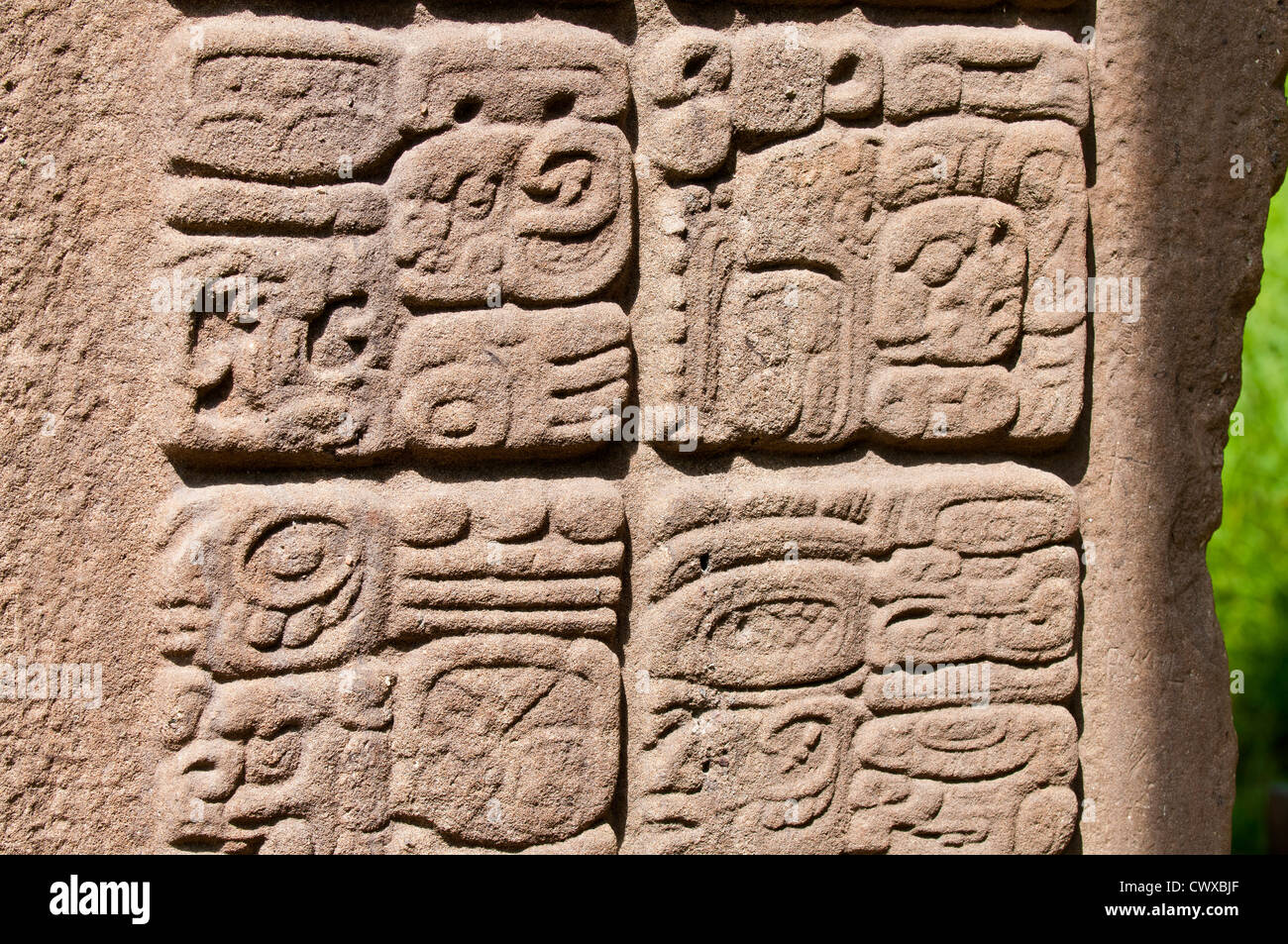 Stelae stela petroglyph tablet in Quirigua Archaeological Park, UNESCO ...