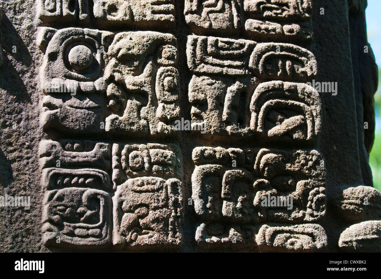 Stelae stela petroglyph tablet in Quirigua Archaeological Park, UNESCO ...