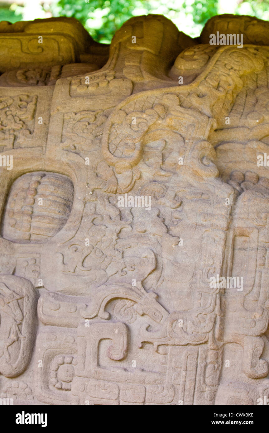 Stelae stela petroglyph tablet in Quirigua Archaeological Park, UNESCO ...