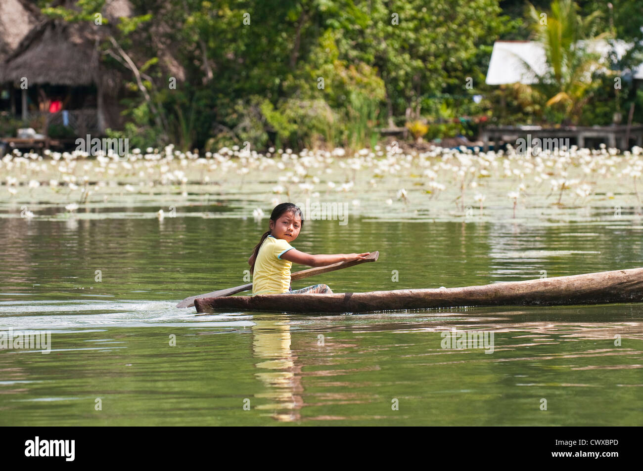 Young indigenous native indian Garifuna girl paddling a dugout canoe on ...