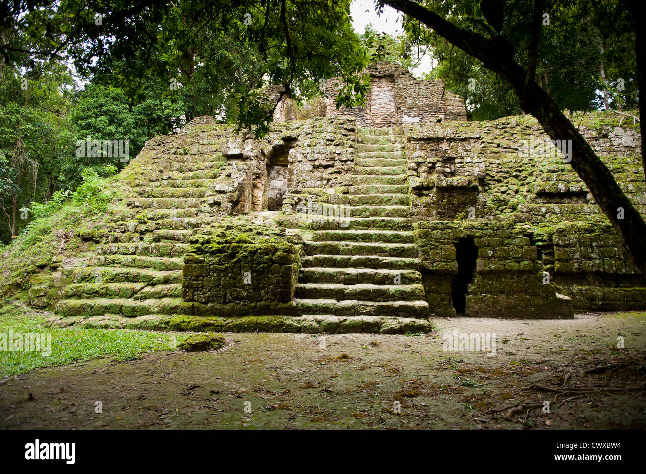 Mayan pyramid temple ruins, Tikal National Park, Parque Nacional Tikal ...