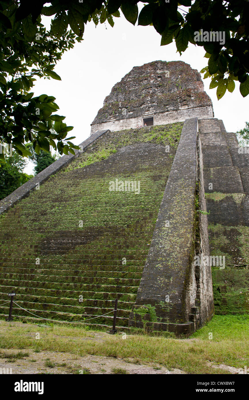 Mayan pyramid temple ruins, Tikal National Park, Parque Nacional Tikal ...