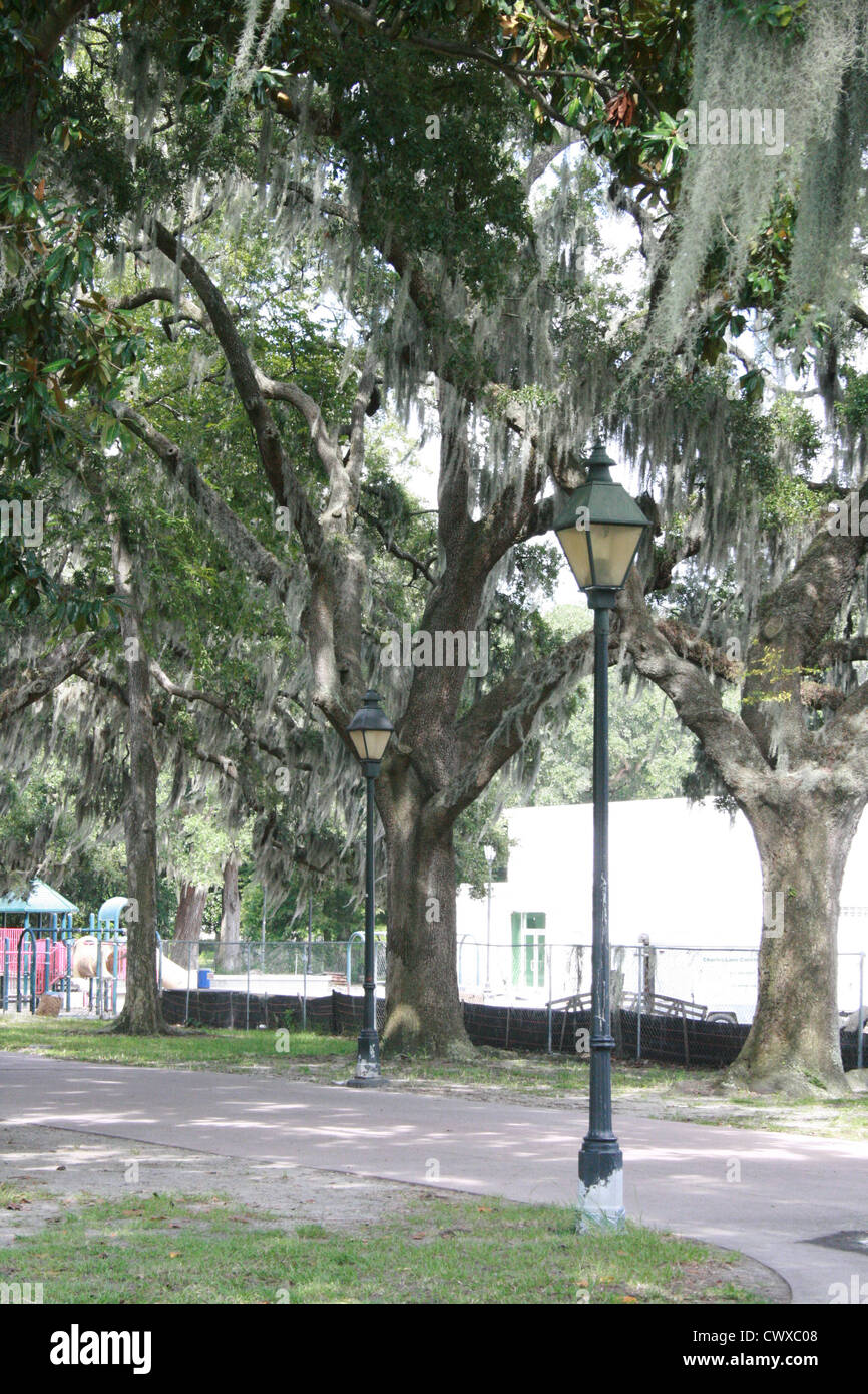 street light evening moss oak trees savannah georgia Stock Photo - Alamy