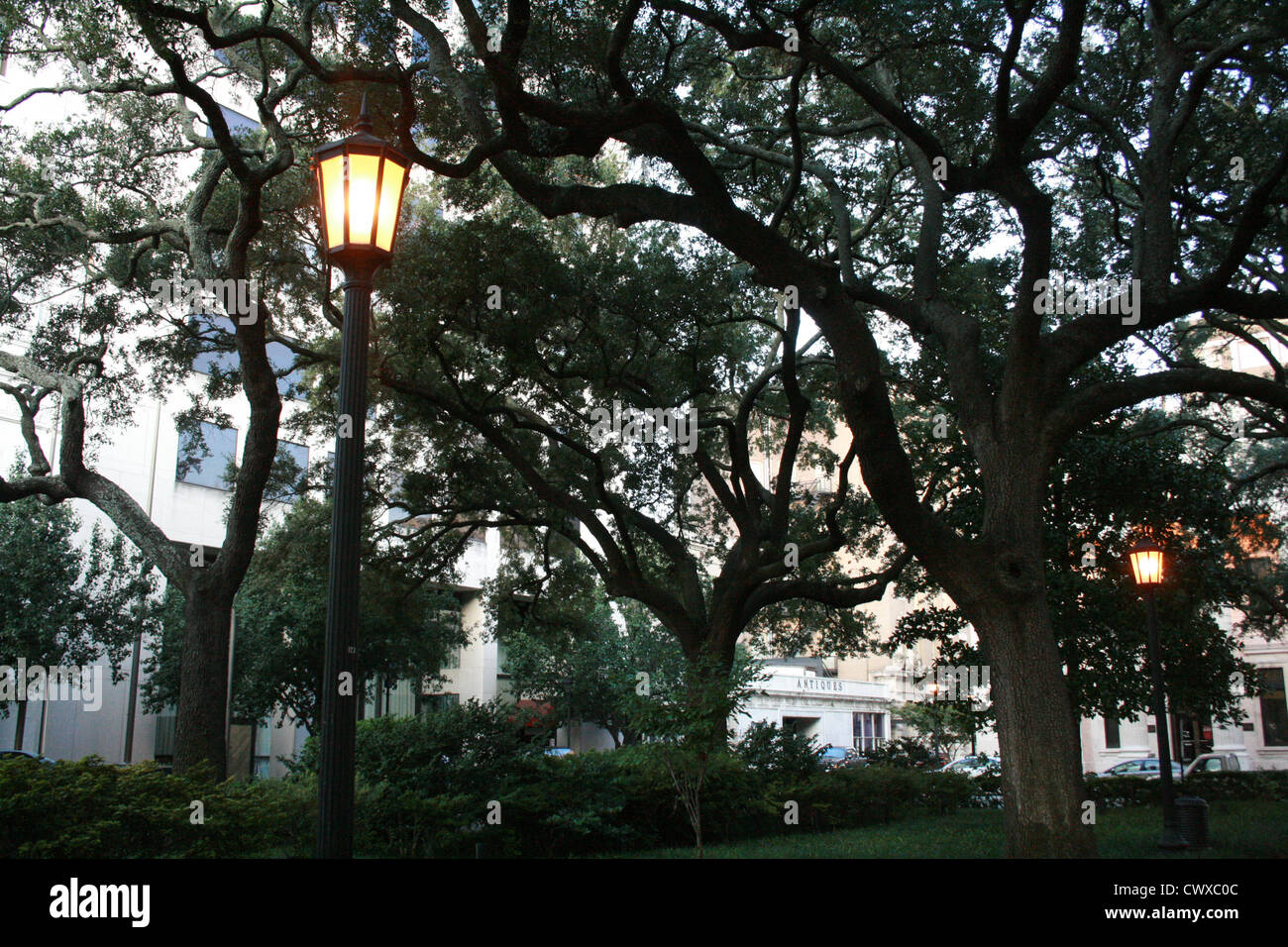 street light evening moss oak trees savannah georgia ga fall autumn ...