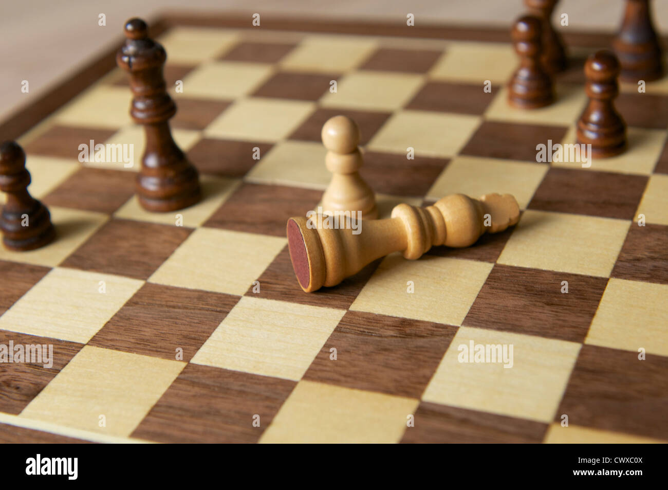 Classic International Chess board Stock Photo - Alamy