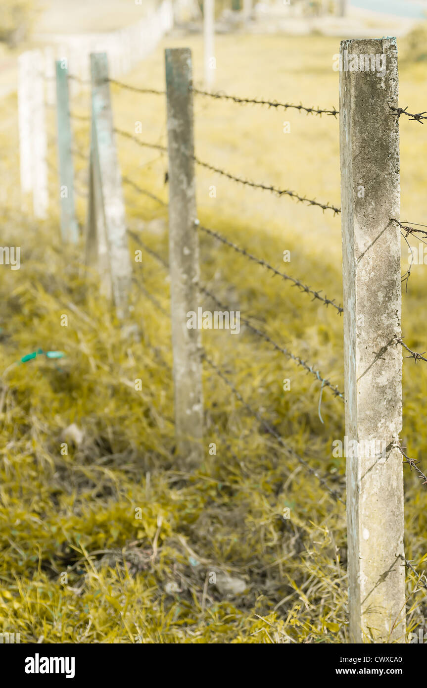 Barbed wire bloom hi-res stock photography and images - Alamy