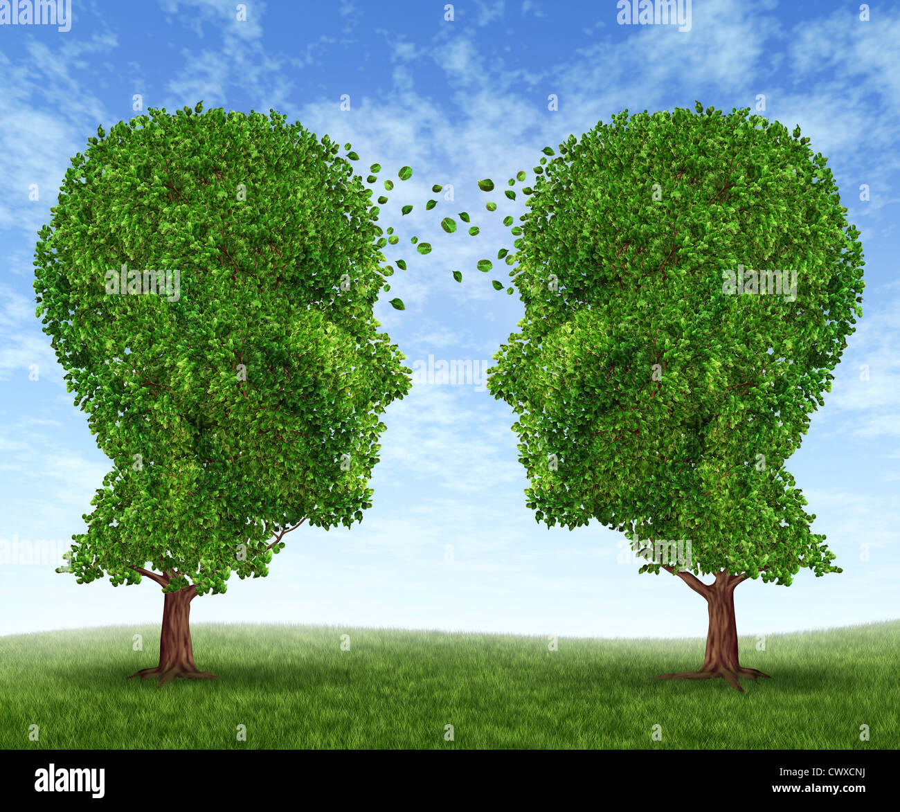 Growing partnership and teamwork communication in business with two ...