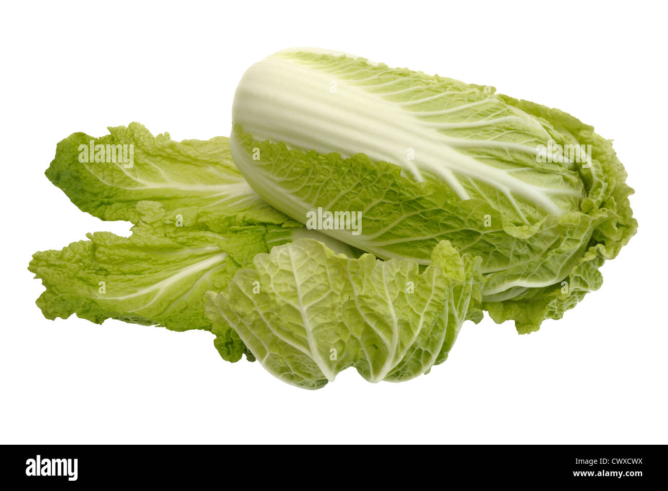 Fresh Beijing cabbage on a white background, isolated Stock Photo - Alamy