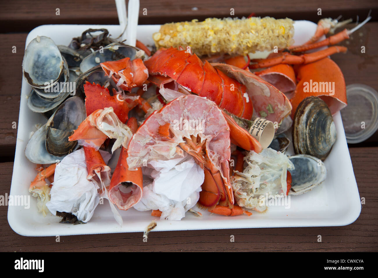 A stack of discarded lobster shell pieces and clam shells at Young's ...