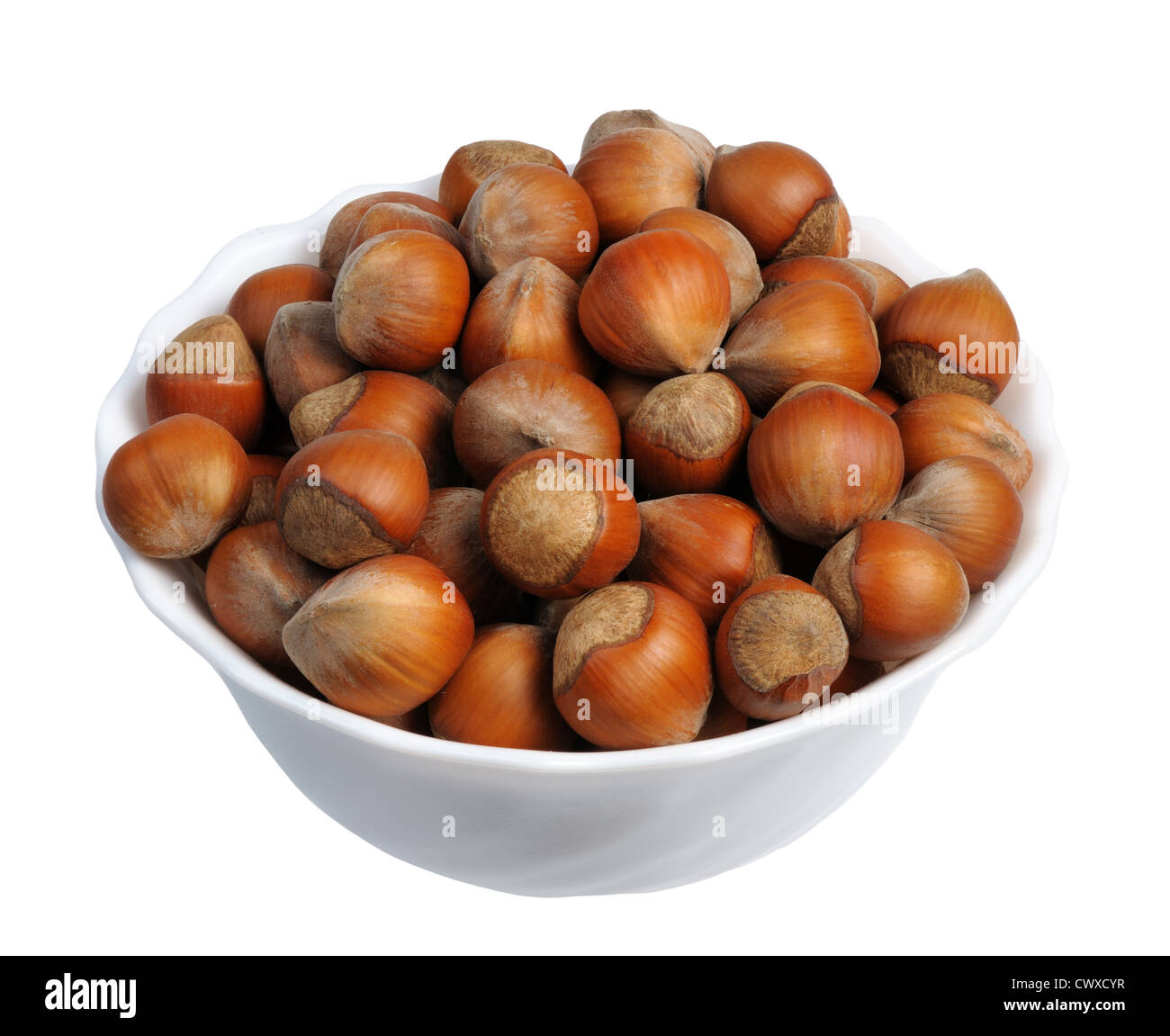 Hazelnuts in a white cup on a white background, isolated Stock Photo ...