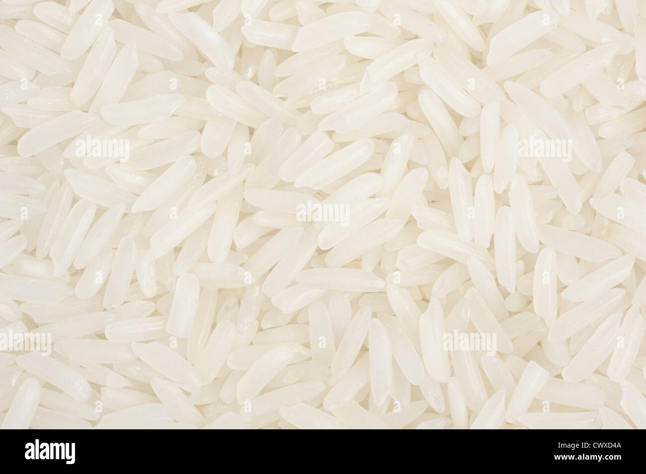 Rice grains close up hi-res stock photography and images - Alamy
