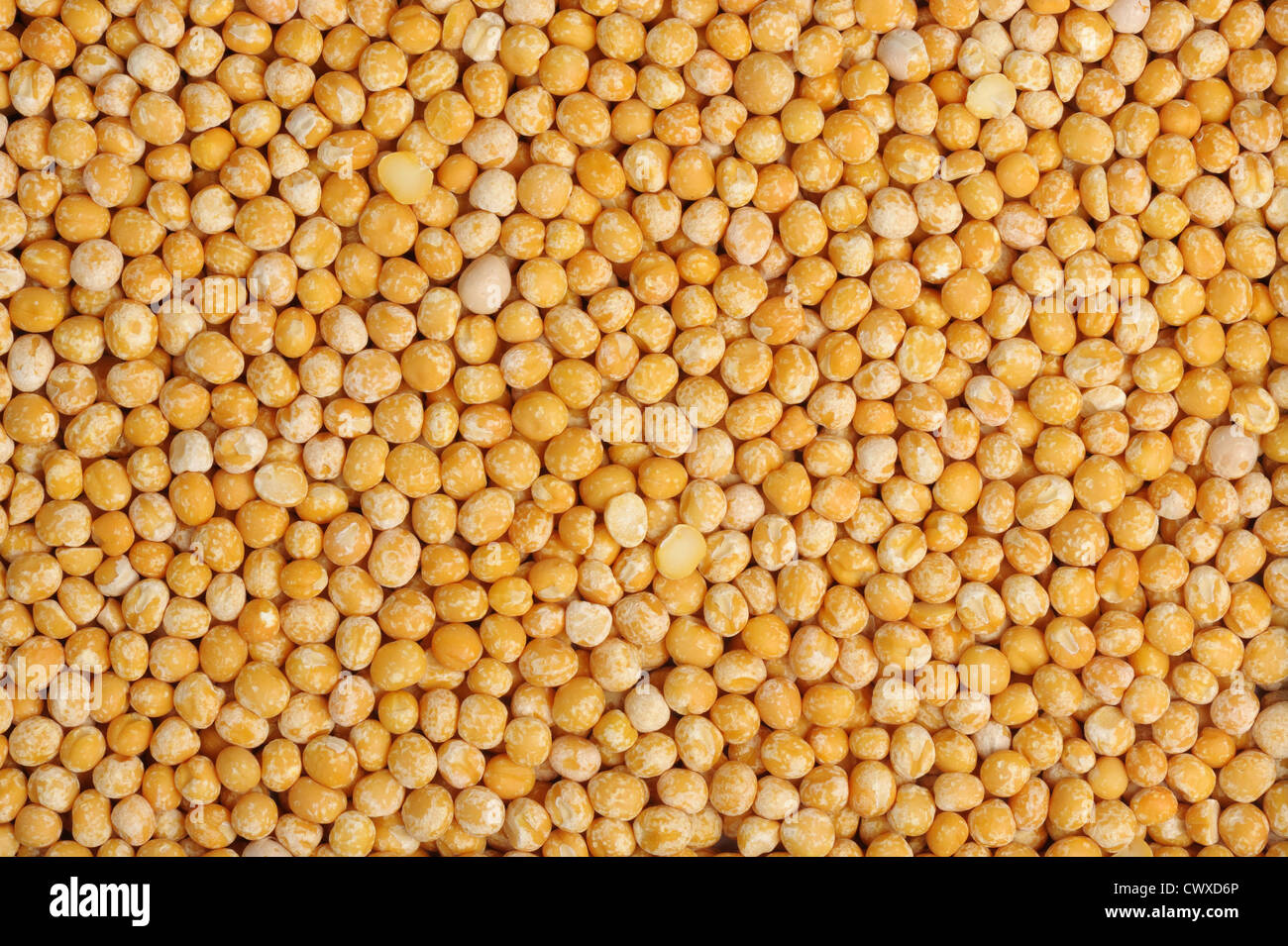 Seed of Pea on a white background, close-up Stock Photo - Alamy