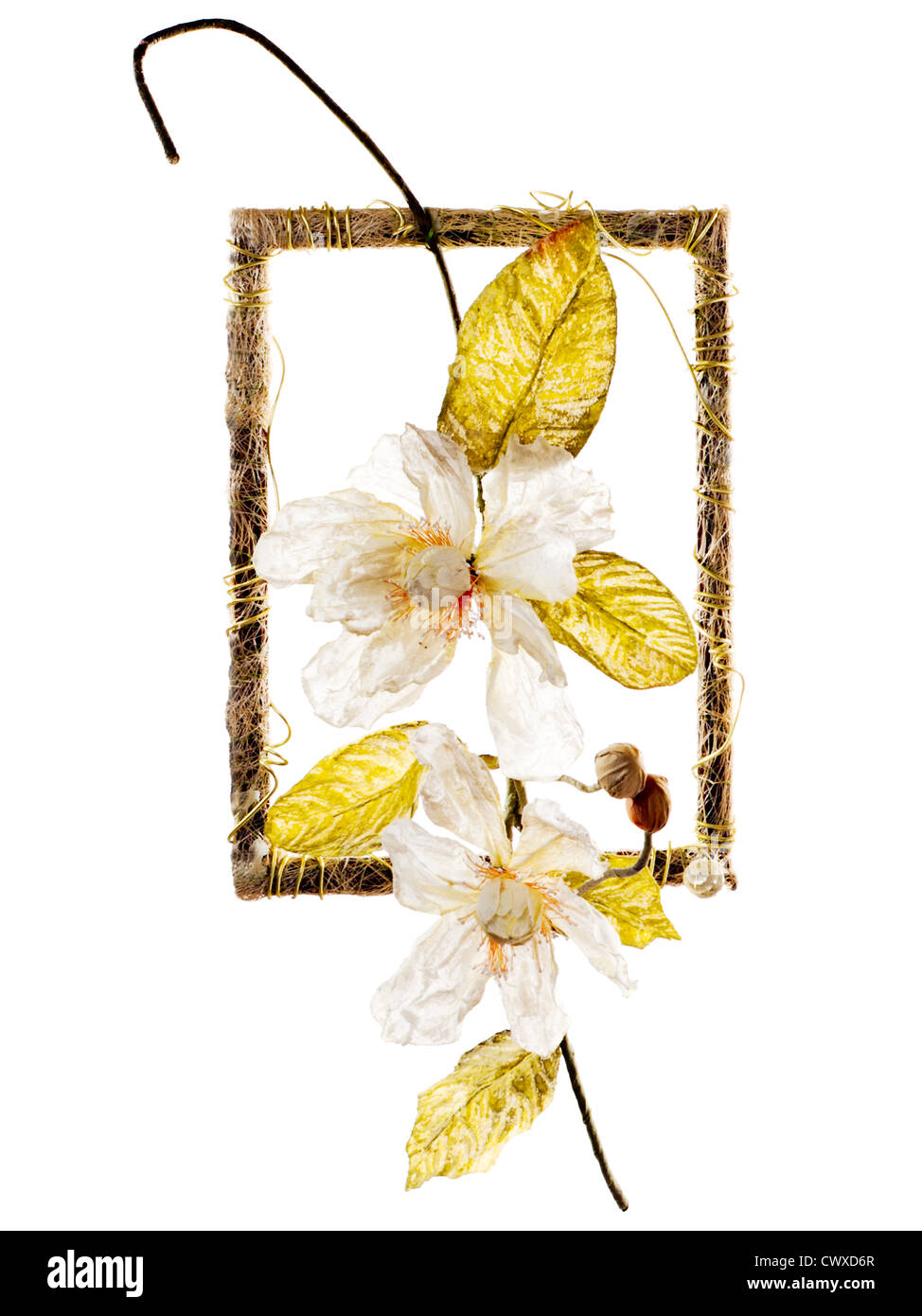 Decorative frame leaves flowers Cut Out Stock Images & Pictures - Alamy
