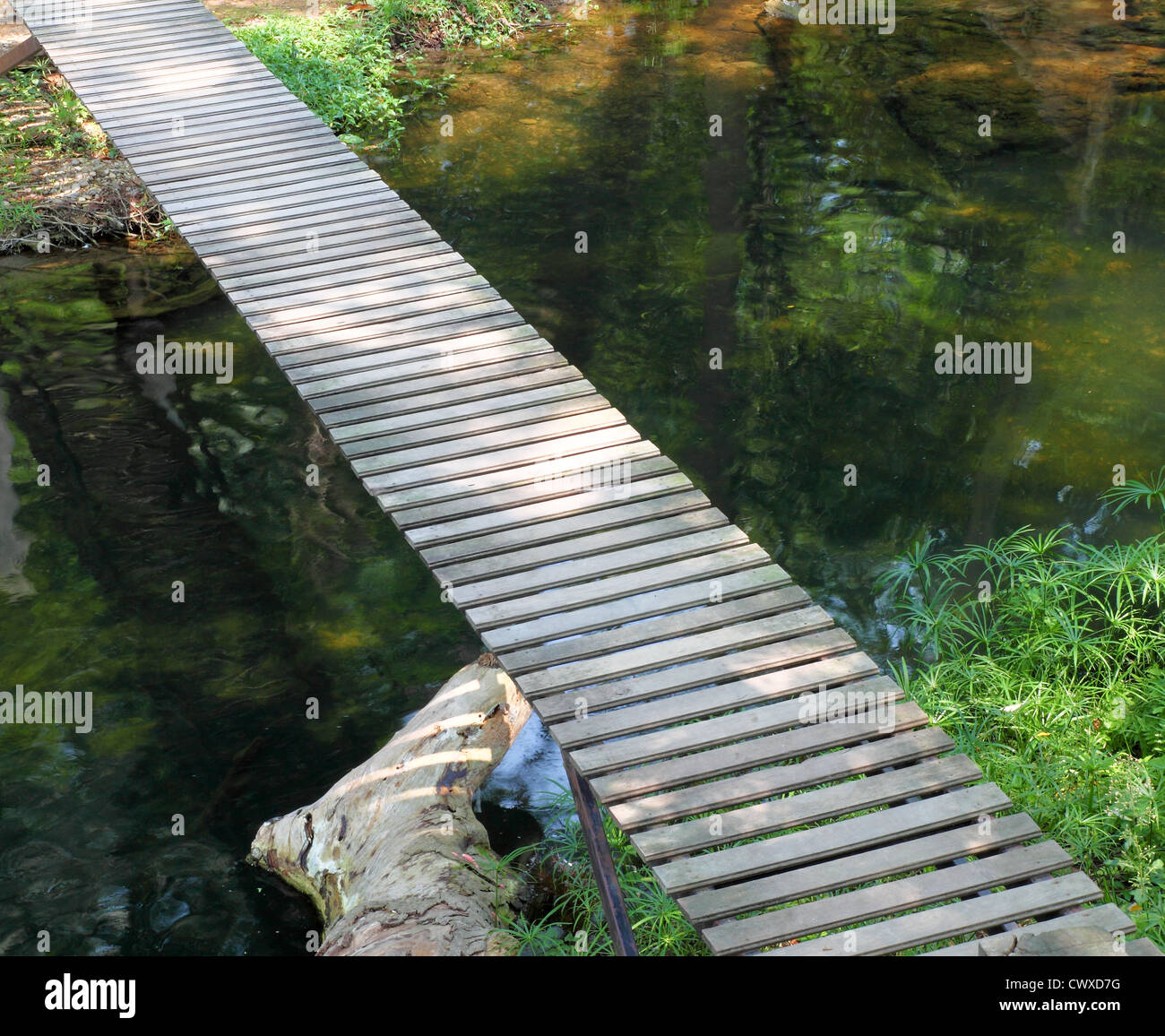 wooden walkway path on stream Stock Photo - Alamy