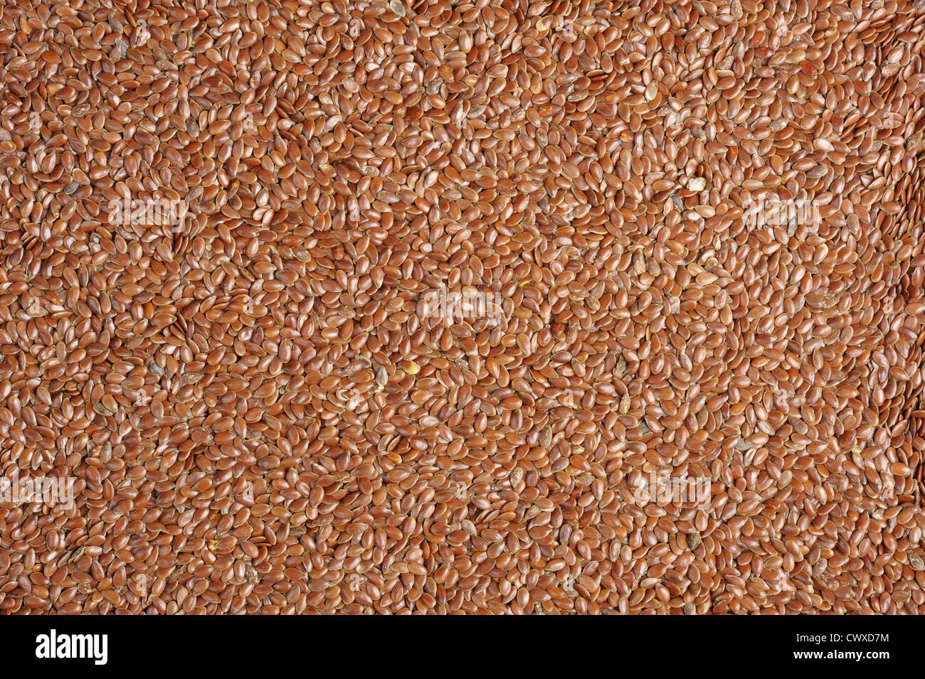 The natural texture - seeds of flax close-up Stock Photo - Alamy