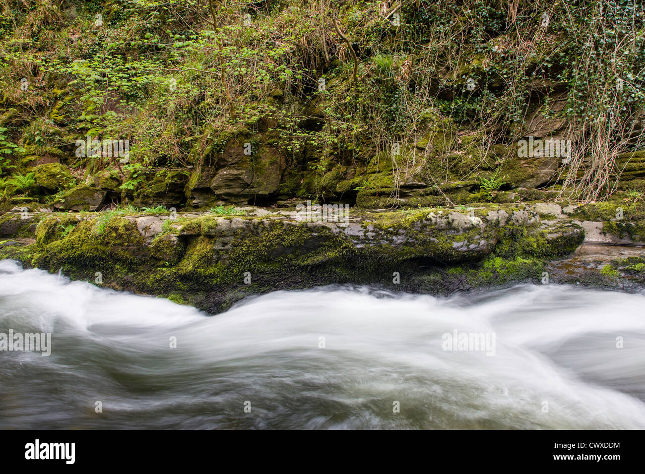 Flowing fresh water river in Exmoor National Park Stock Photo - Alamy