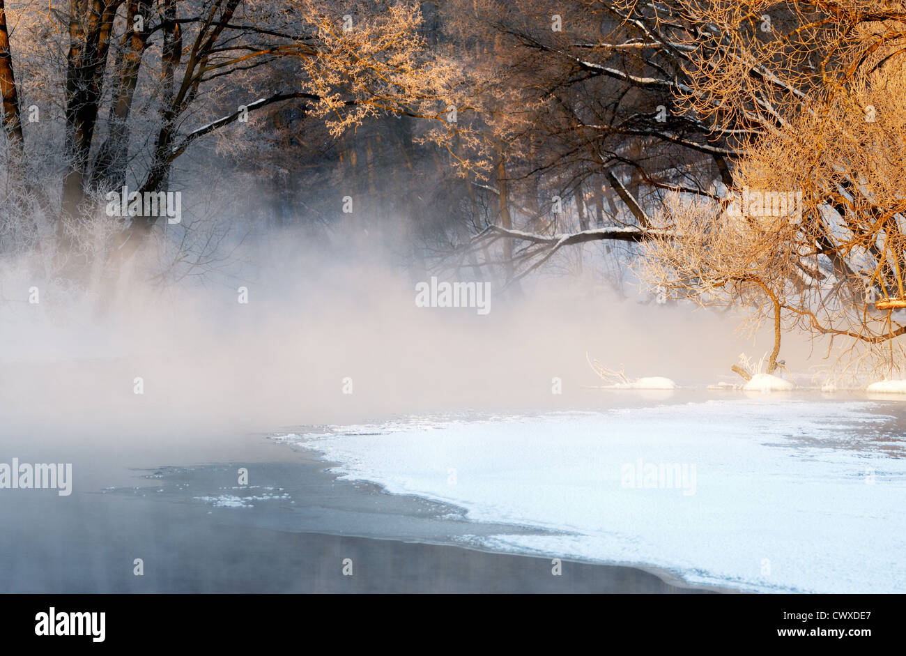 Dawn frosty day in February, the fog and sun Stock Photo - Alamy