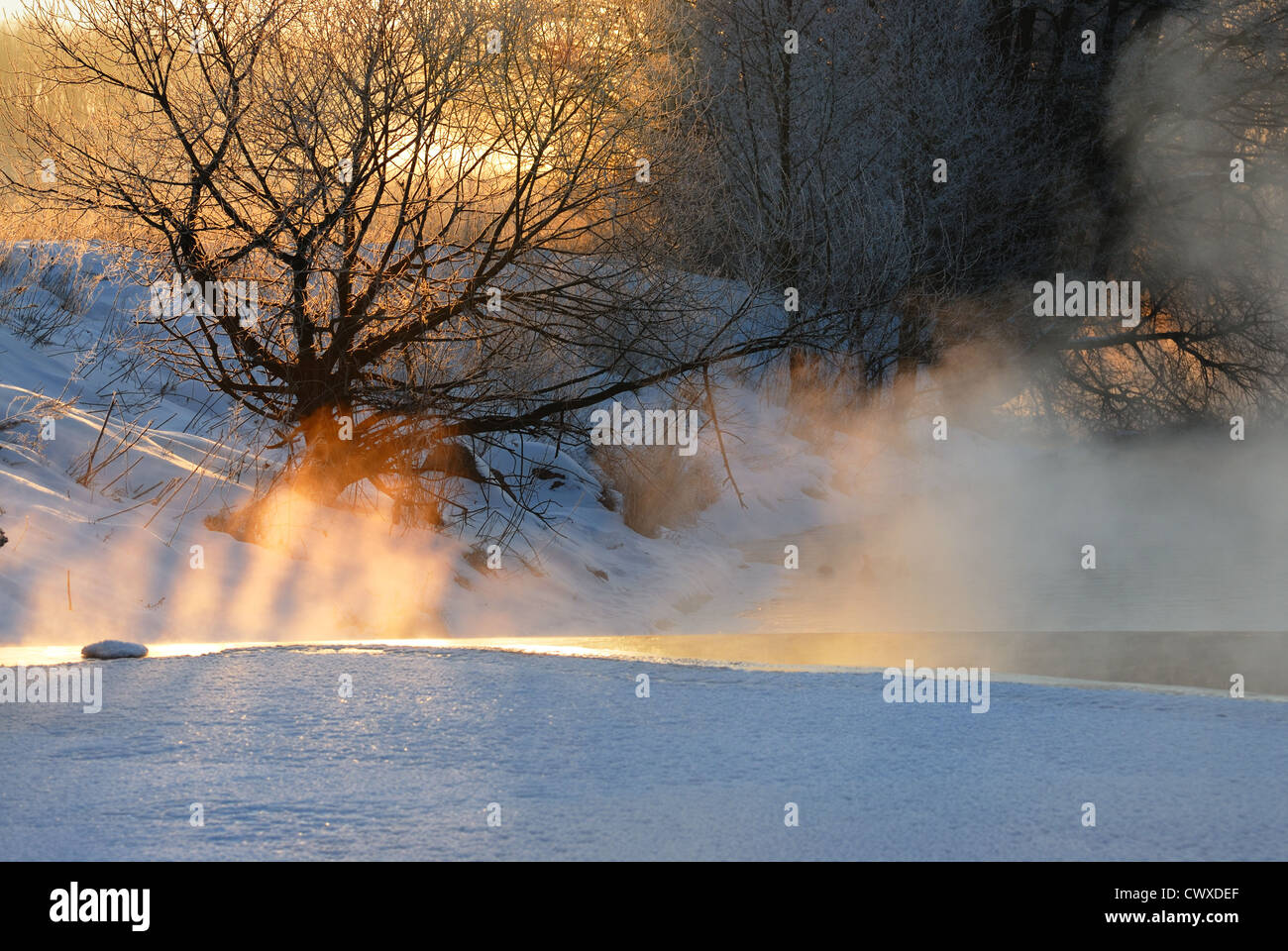 Dawn frosty day in February, the fog and sun Stock Photo - Alamy