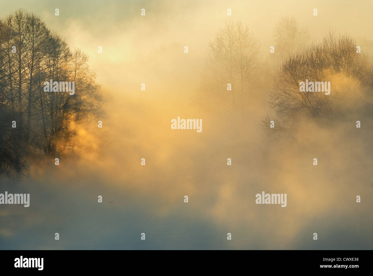 Dawn frosty day in February, the fog and sun Stock Photo - Alamy